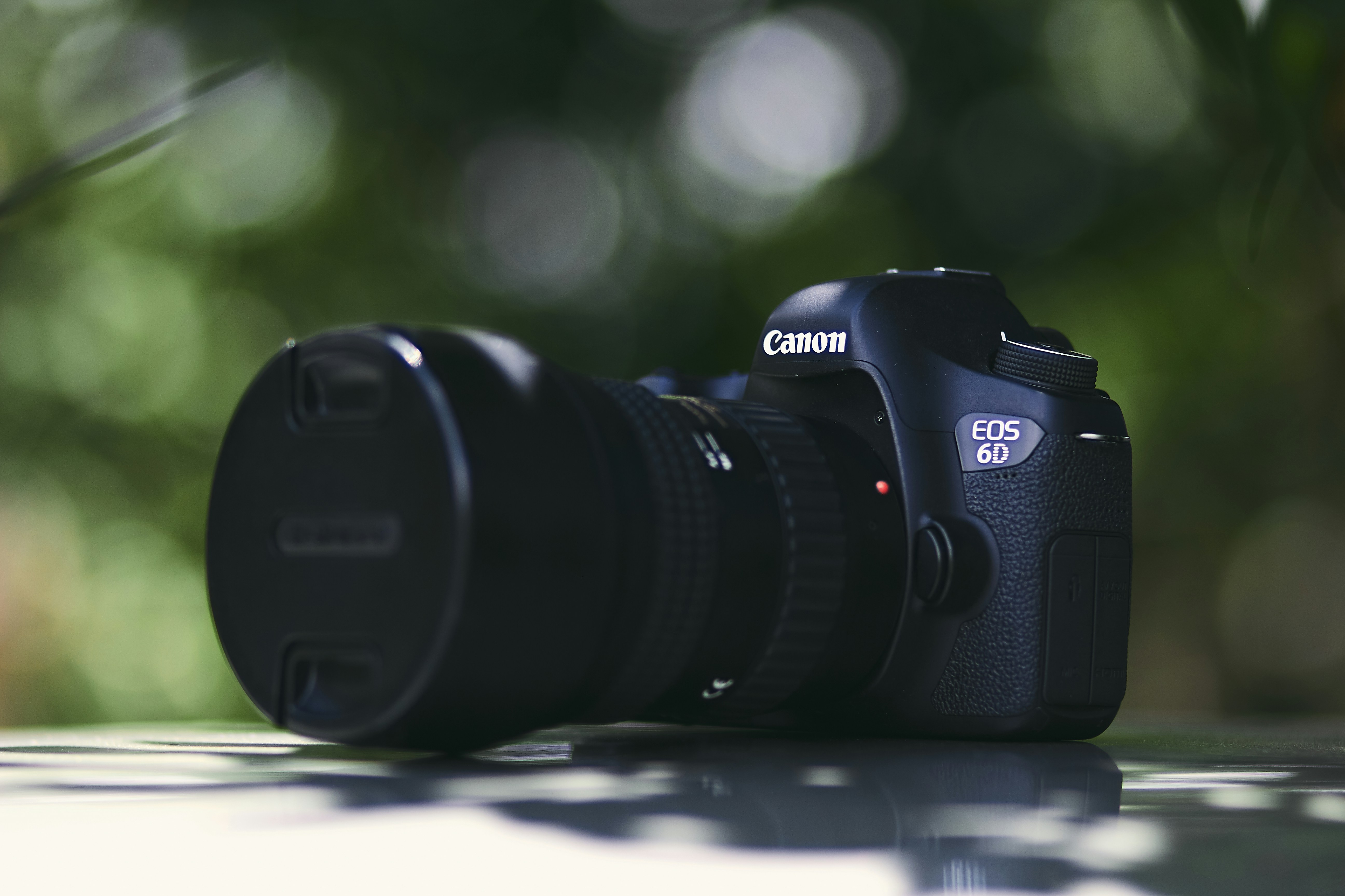 Canon EOS 60D DSLR camera with a lens attached, resting on a smooth surface amidst blurred greenery.