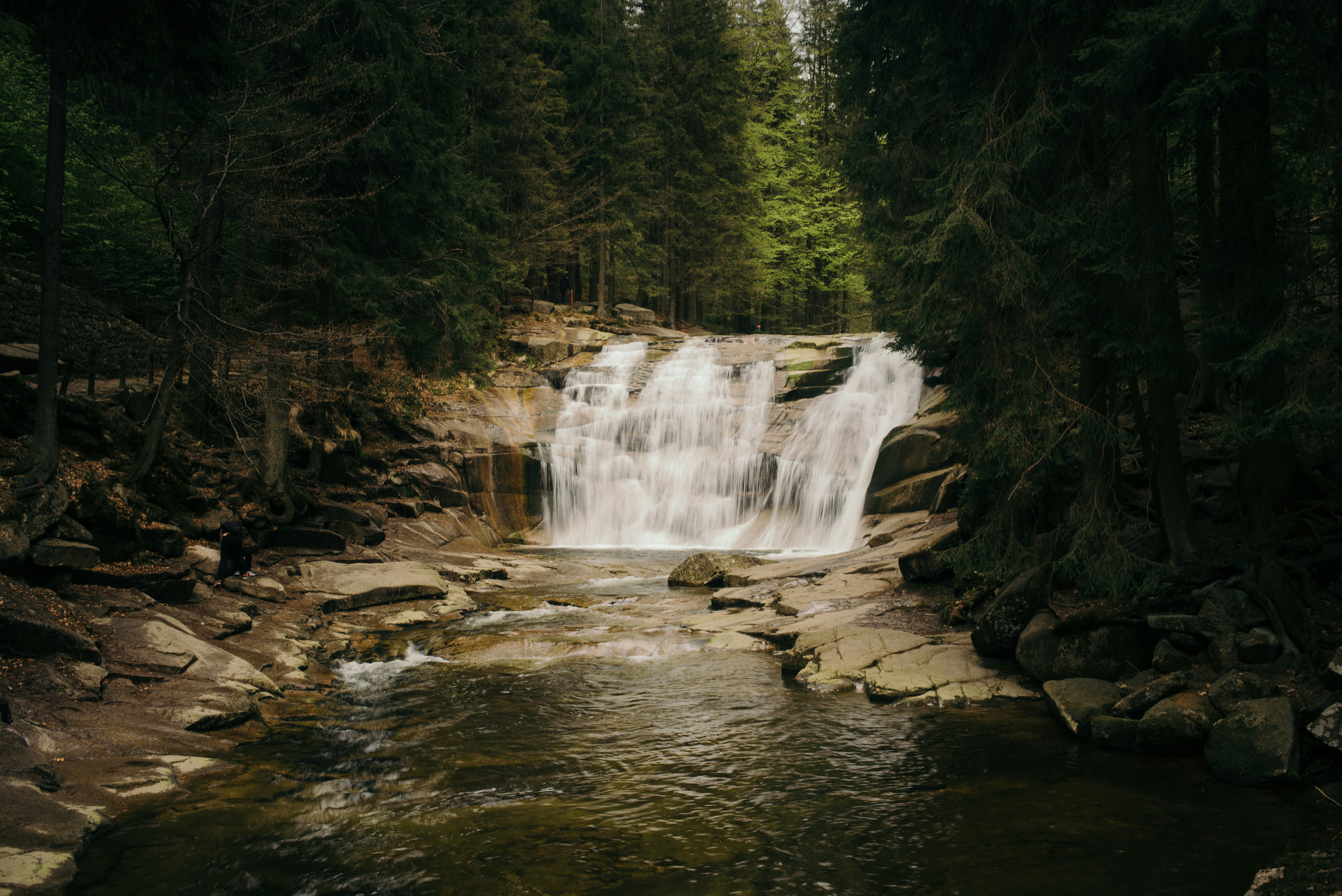Waterfall between tall trees photo – Free Nature Image on Unsplash