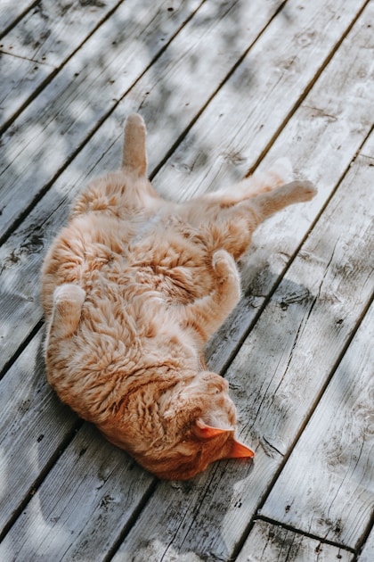 Progressieve Relaxatie Jacobson: De Ultieme Gids voor Diepe Ontspanning ...