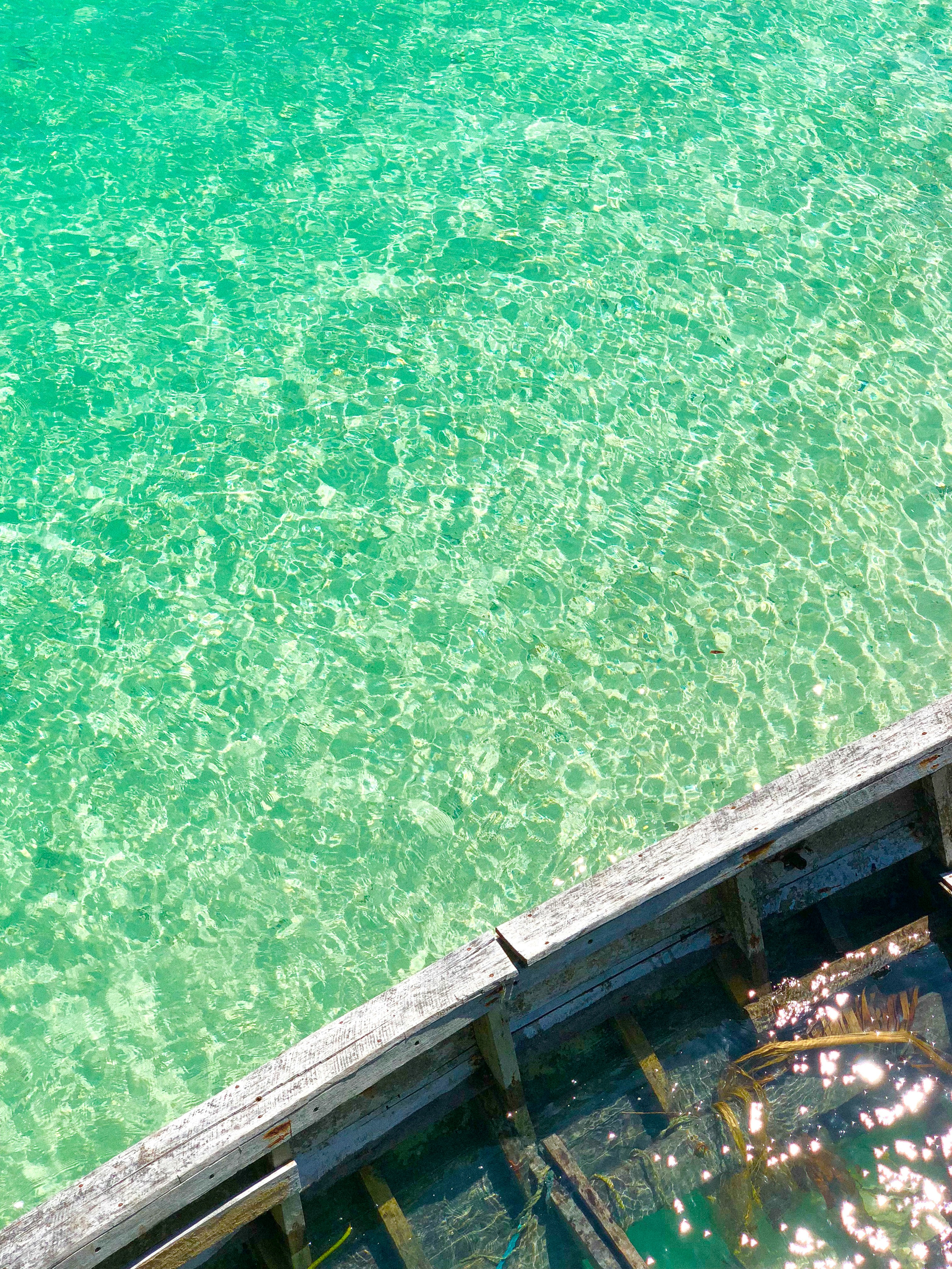 Green Water Pictures | Download Free Images on Unsplash