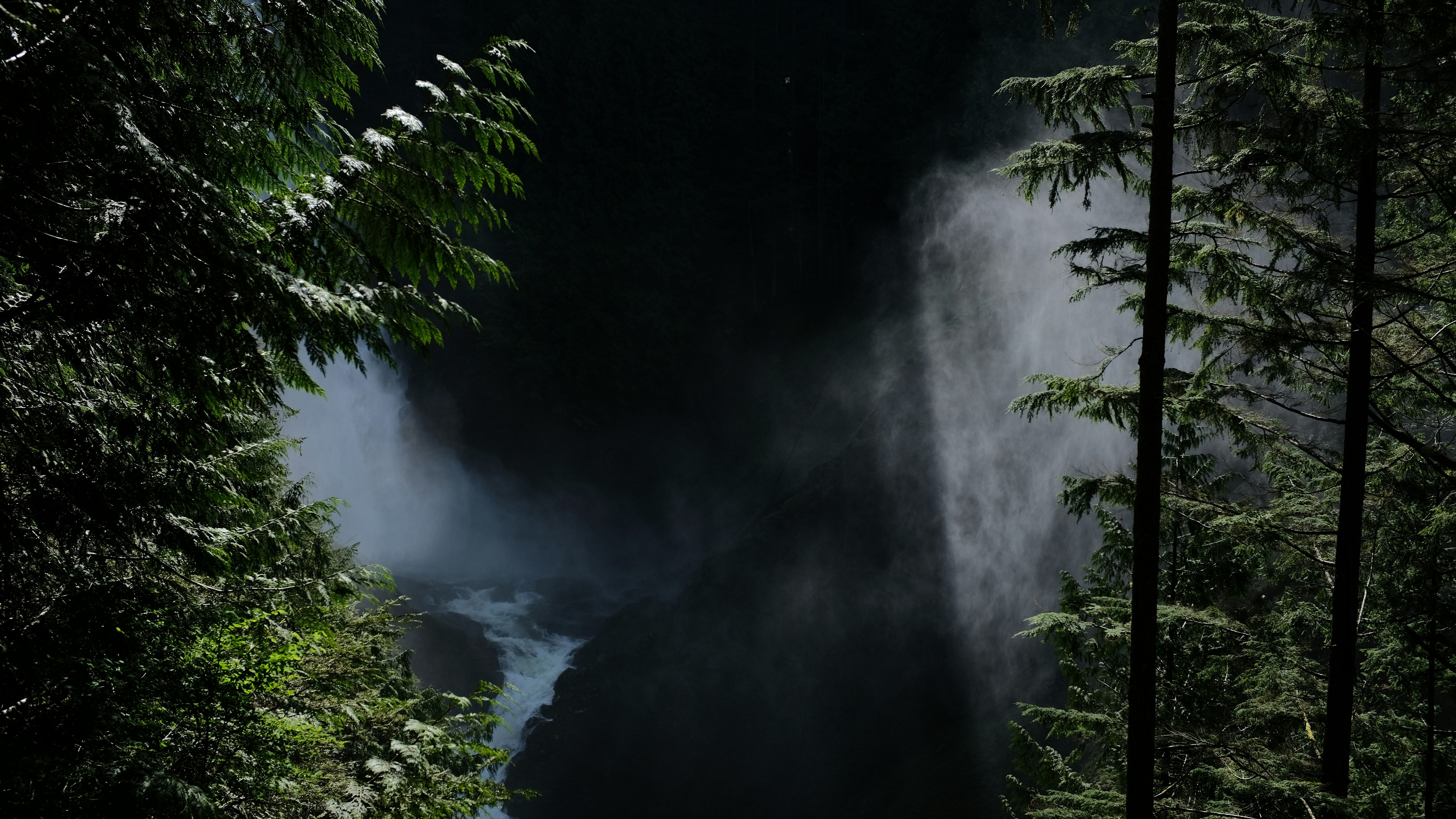 Wallace Falls State Park | photo of forest during daytime