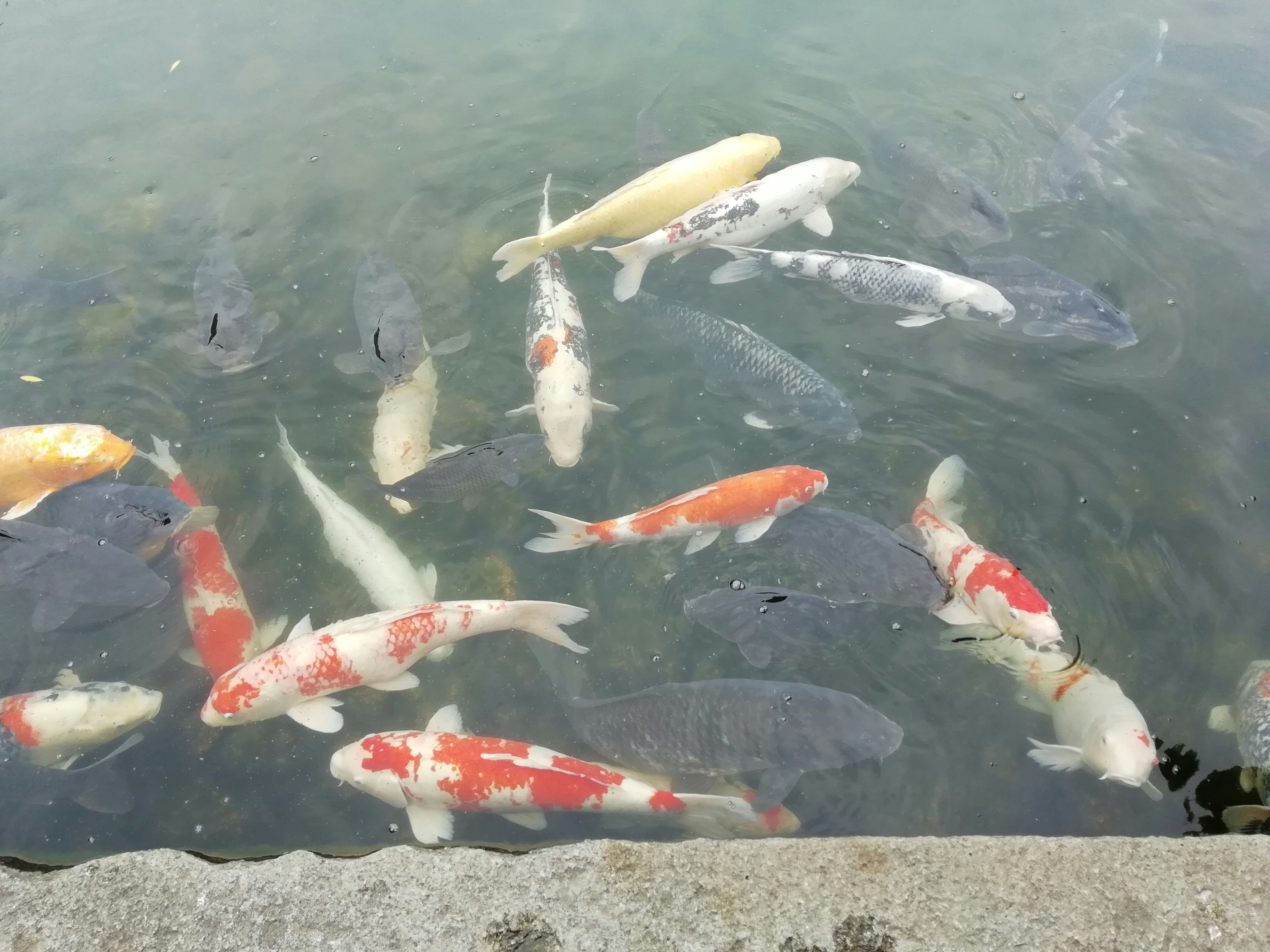 SGR (@sgr) | Unsplash Photo Community