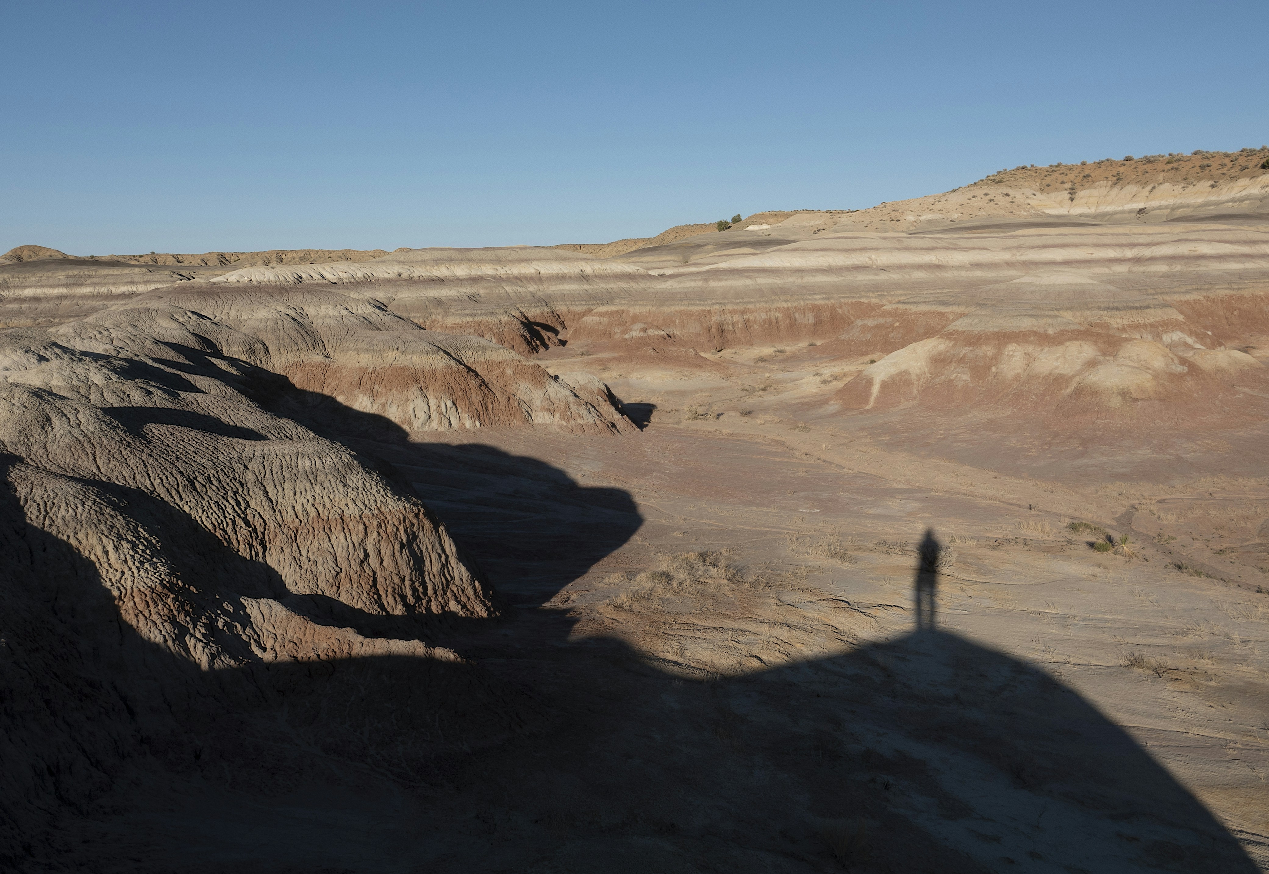 Wanderer Pictures | Download Free Images on Unsplash