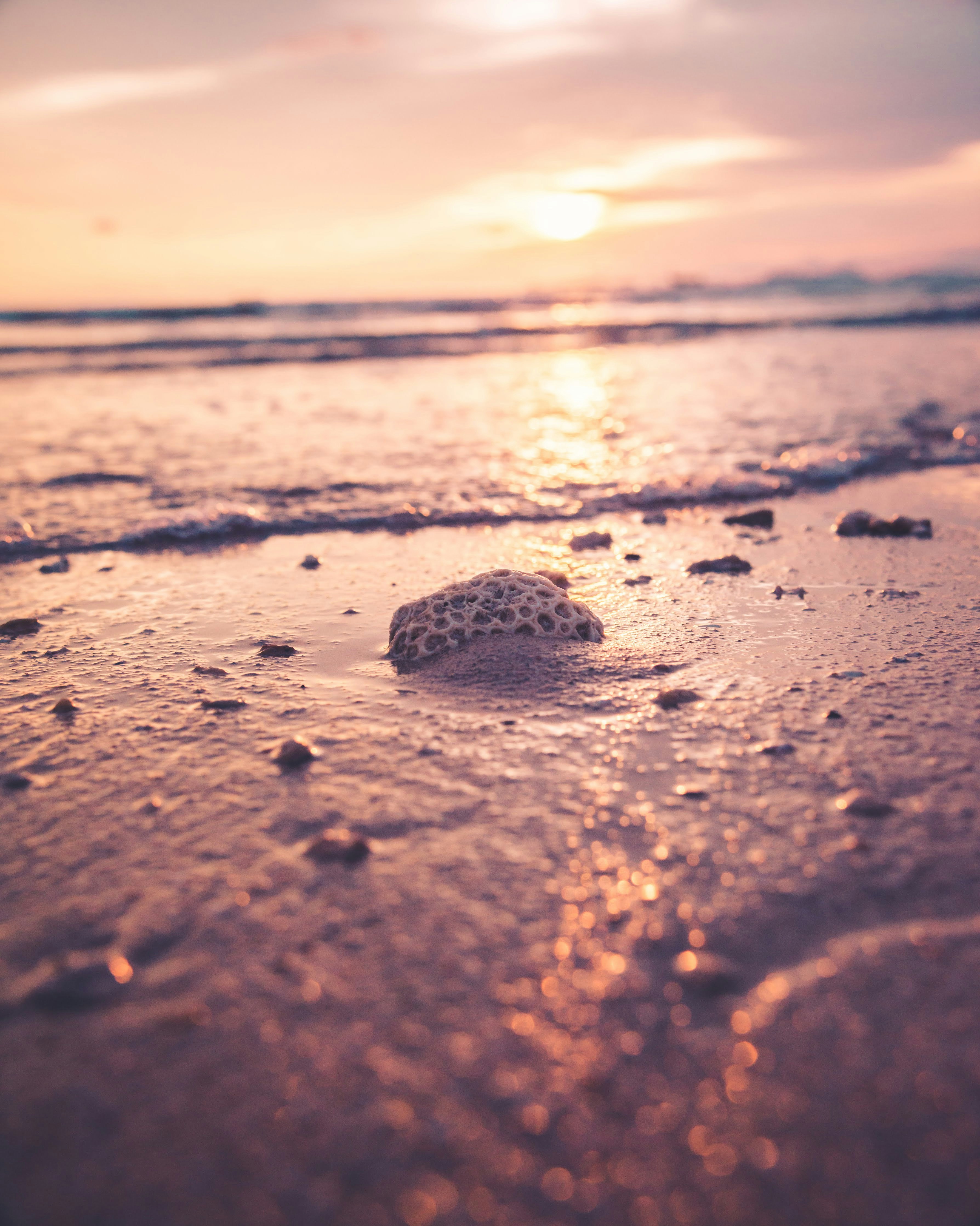 A textured rock rests on a shimmering beach, reflecting the warm hues of a setting sun. Gentle waves lap at the shore, creating a serene atmosphere.