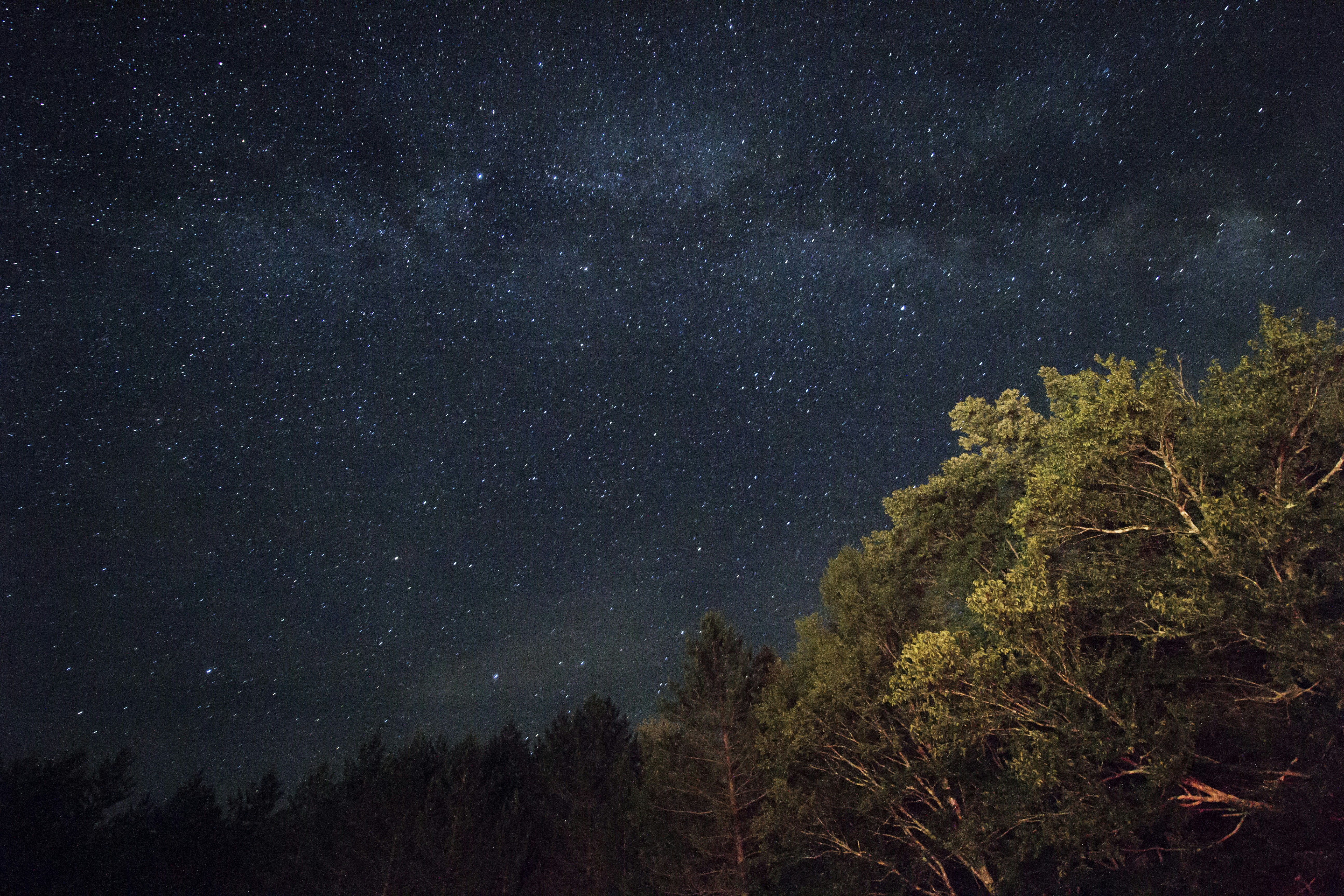 Star-filled night sky with a faint Milky Way arching above silhouetted trees. A serene view capturing the beauty of the universe.