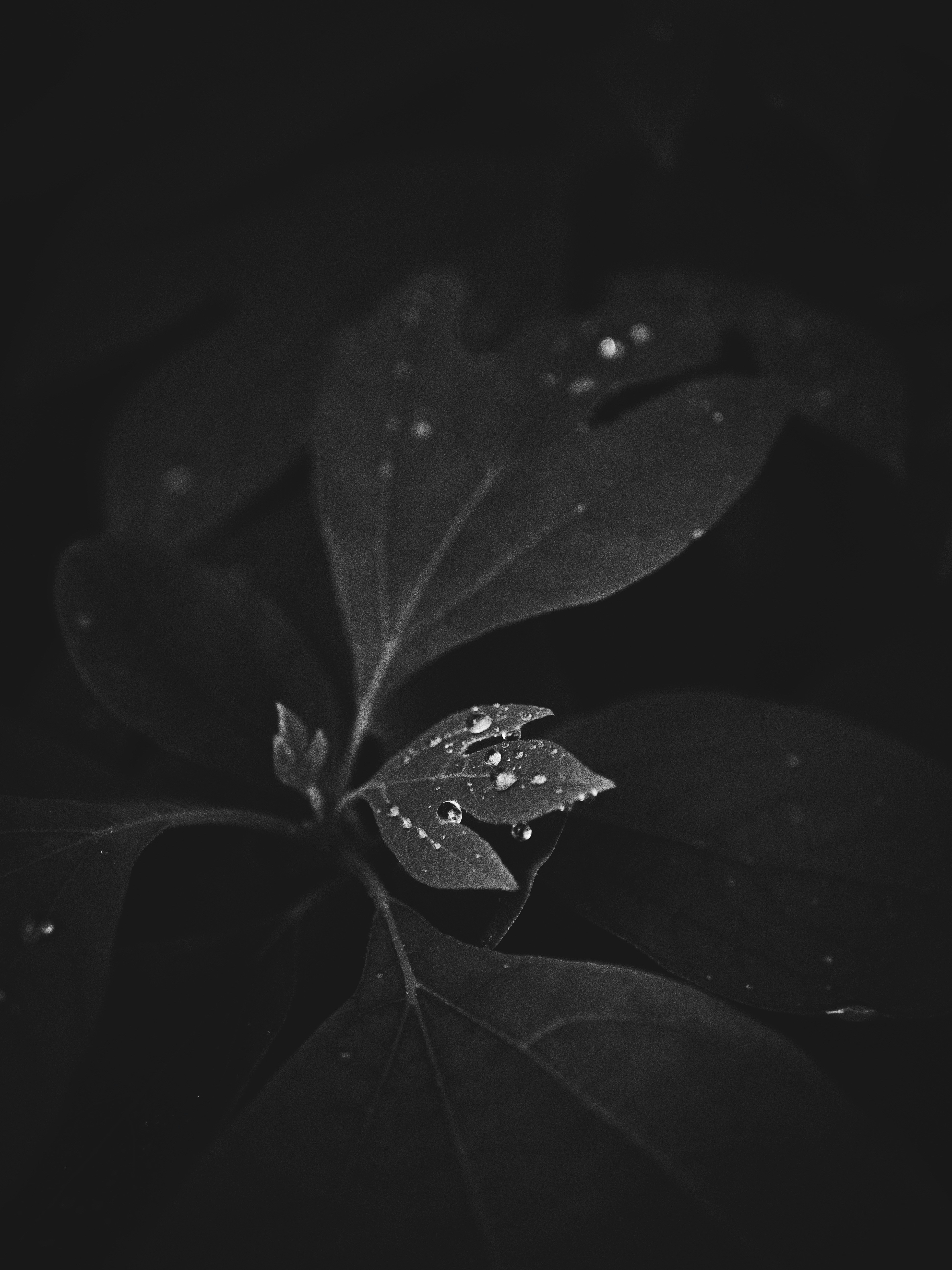 Brian Patrick Tagalog (@briantagalog) | Unsplash Photo Community