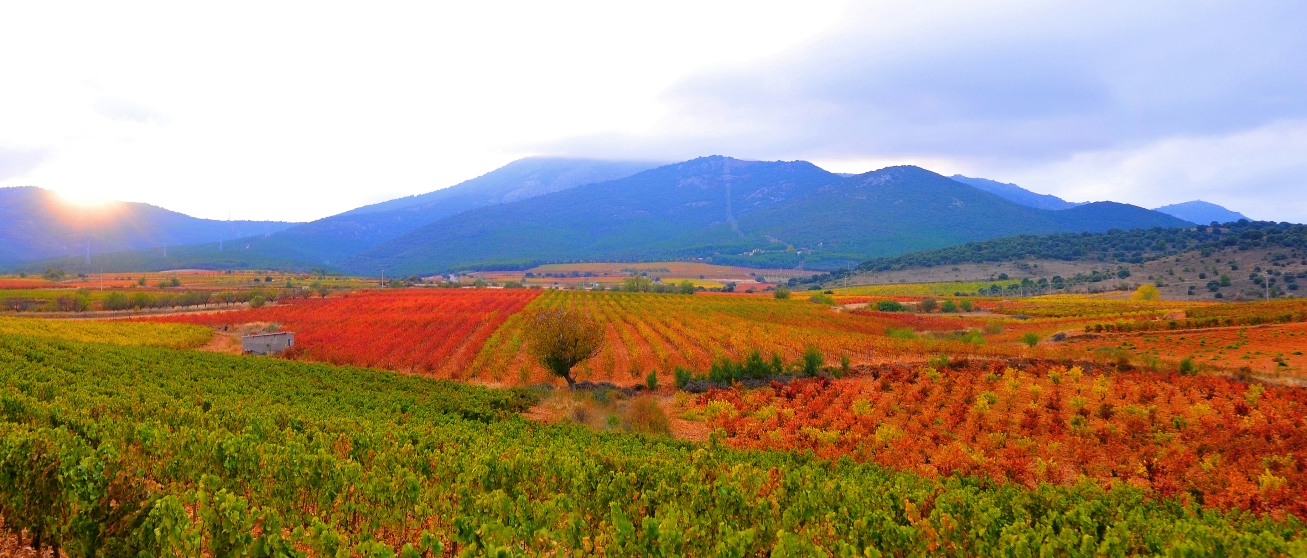 JOSE RAMON GIL (@fotoisiegas) | Komunitas Foto Unsplash