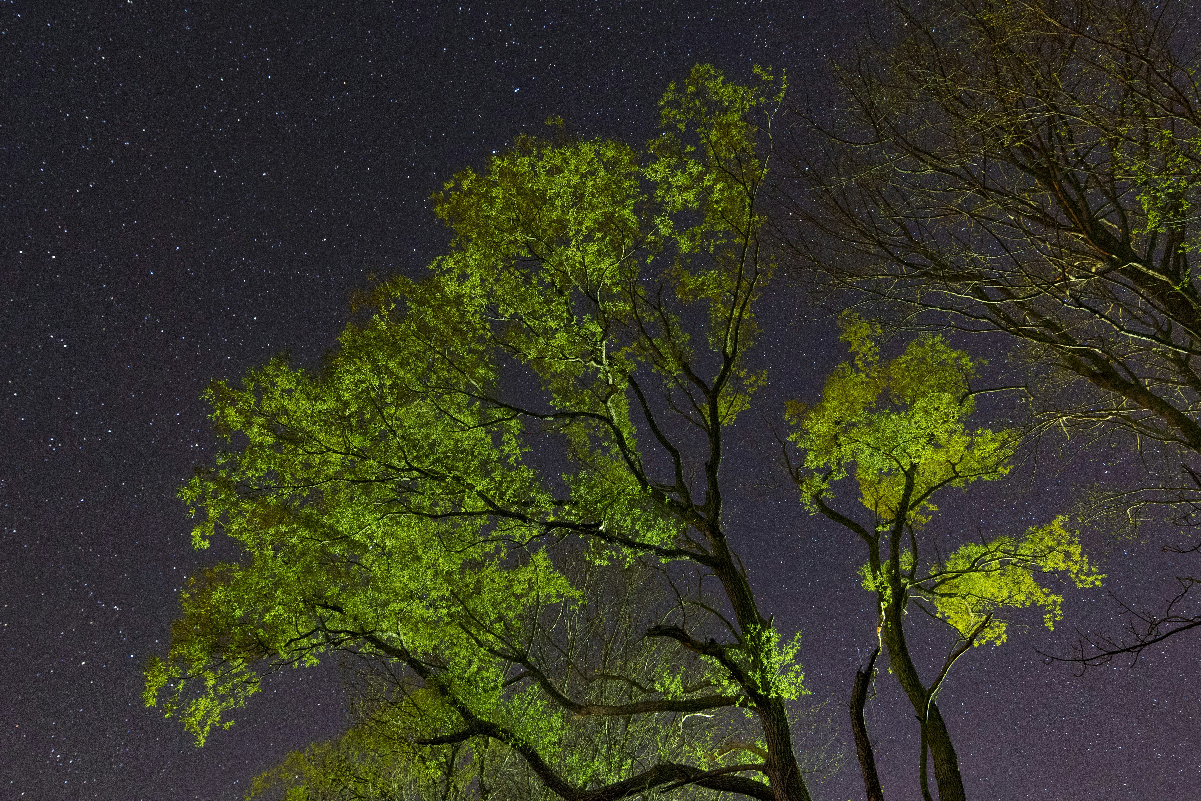 Sample photo from Nikon D500