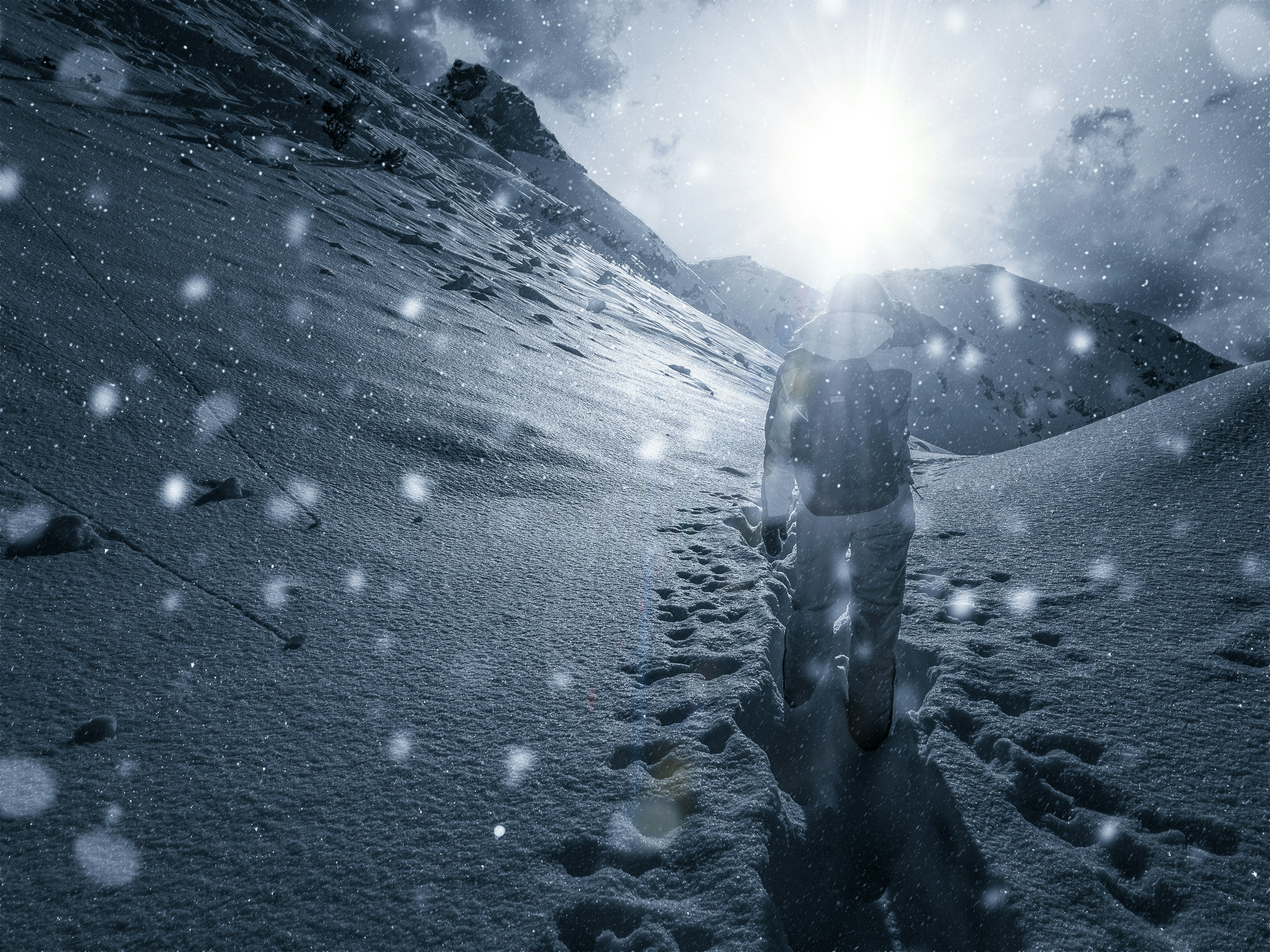 Journey Into the Winter Sun