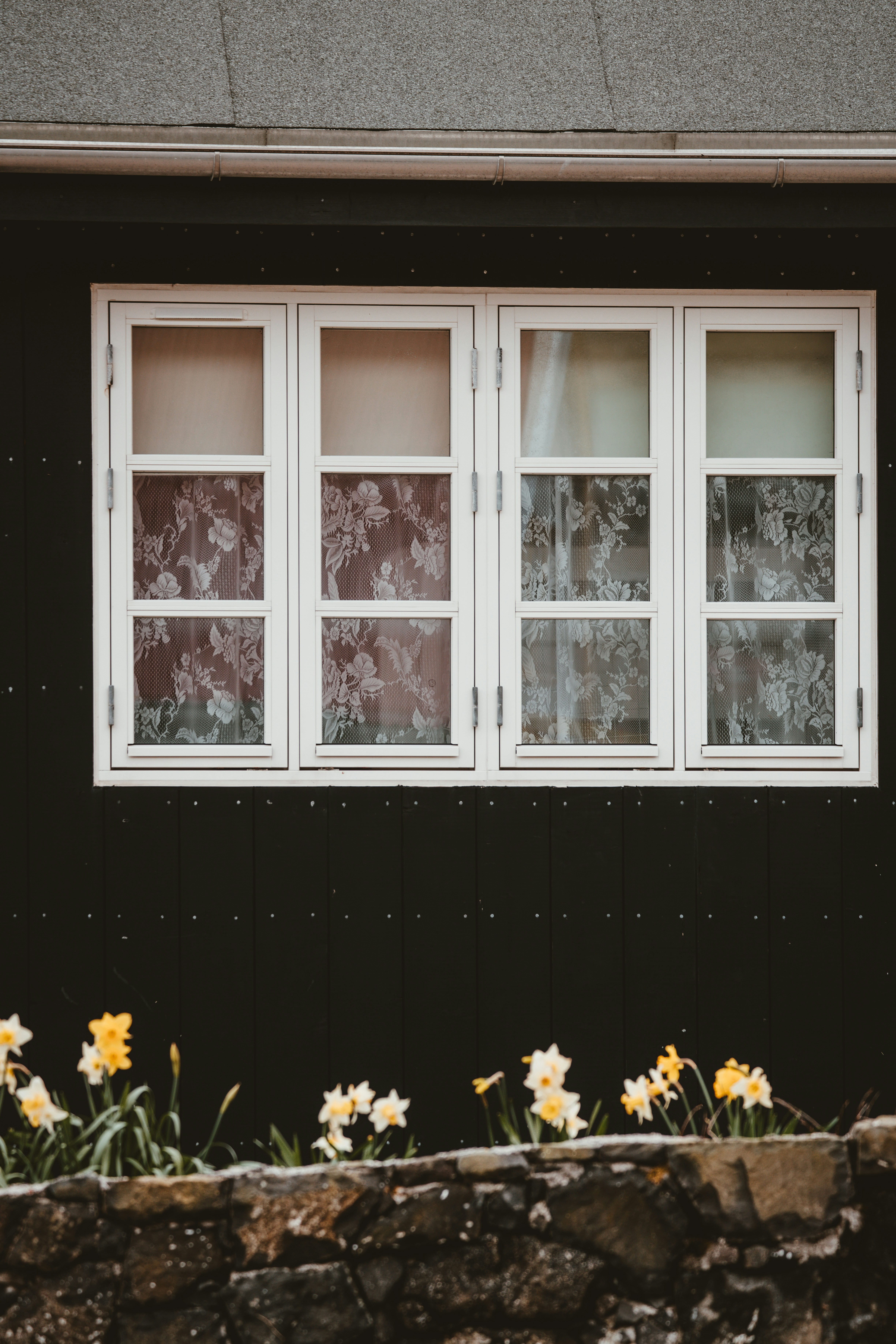 Charming window with floral curtains framed by a dark wooden wall, adorned with blooming daffodils below.