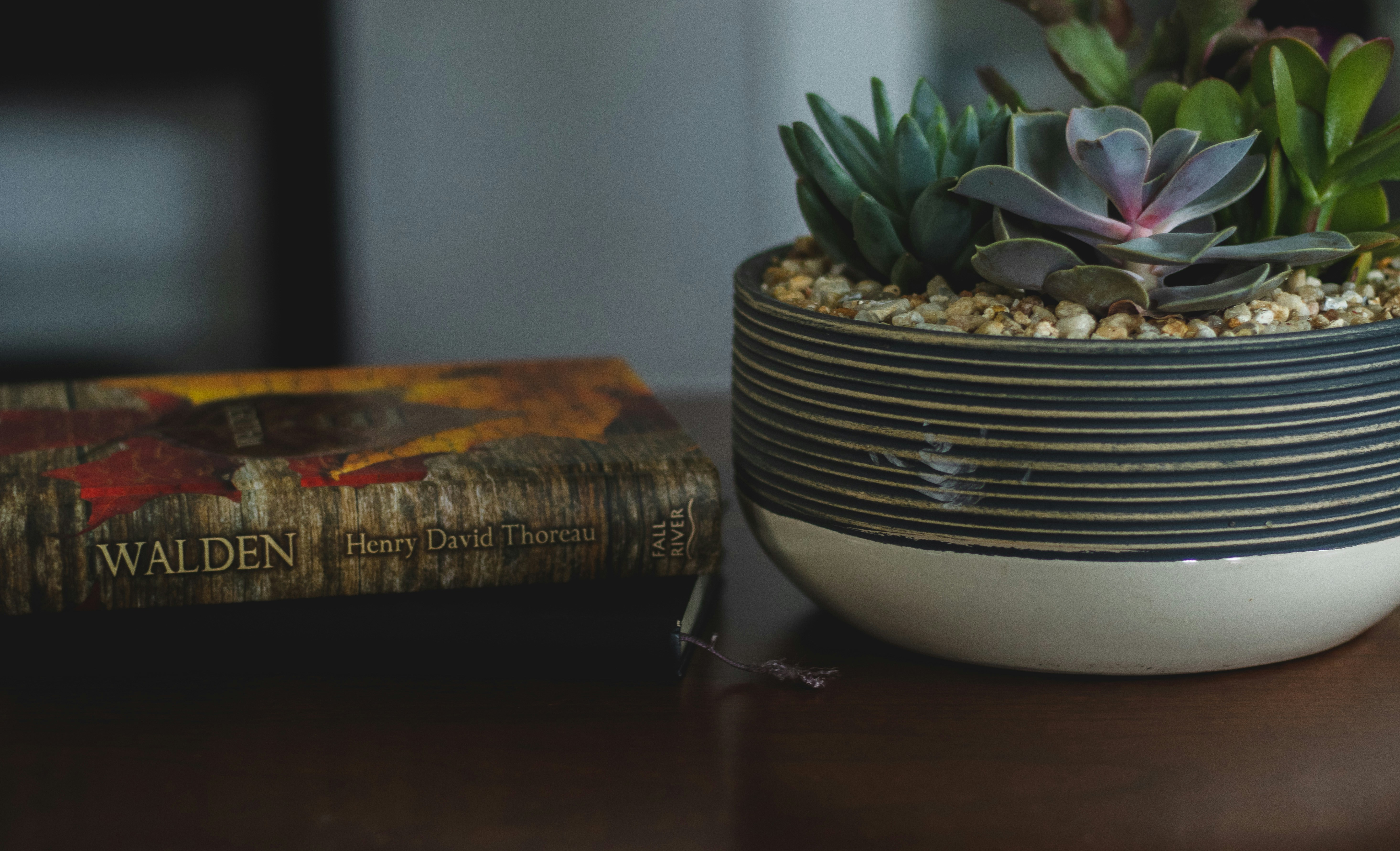 Ben Lockwood (@brlockwood) | Komunitas Foto Unsplash