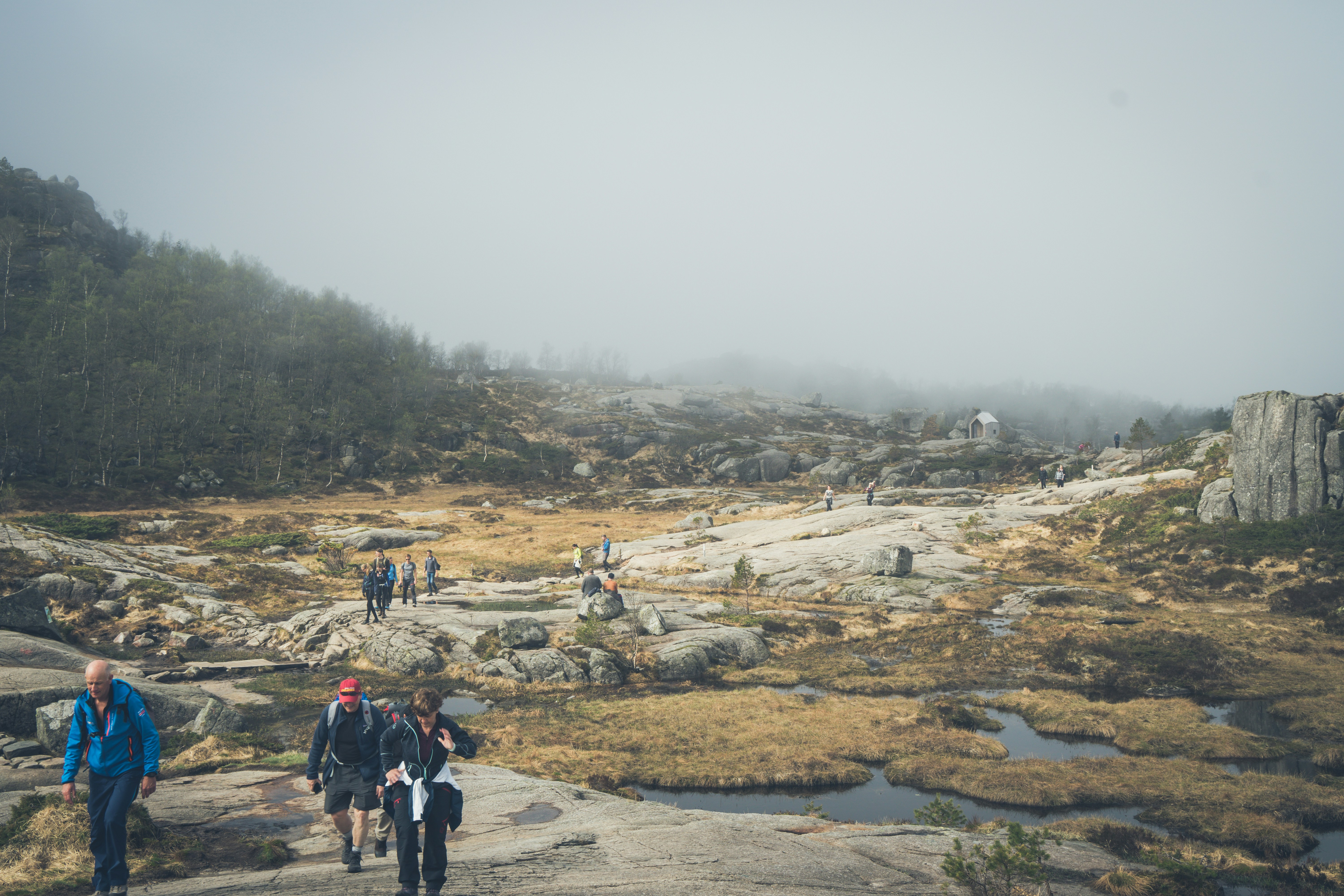 Journey Through the Misty Highlands