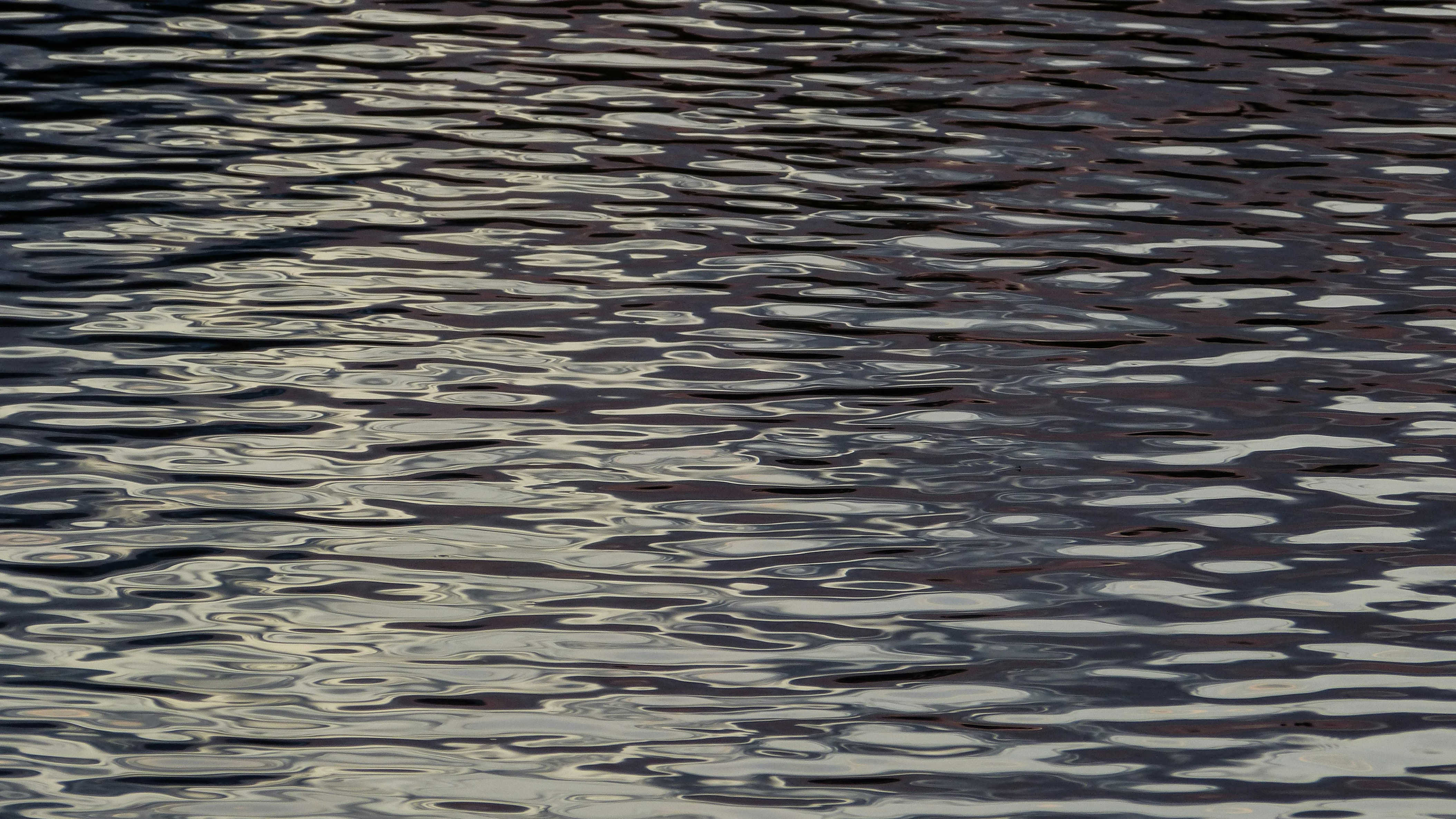 Rippling body of water at daytime photo – Free Grey Image on Unsplash