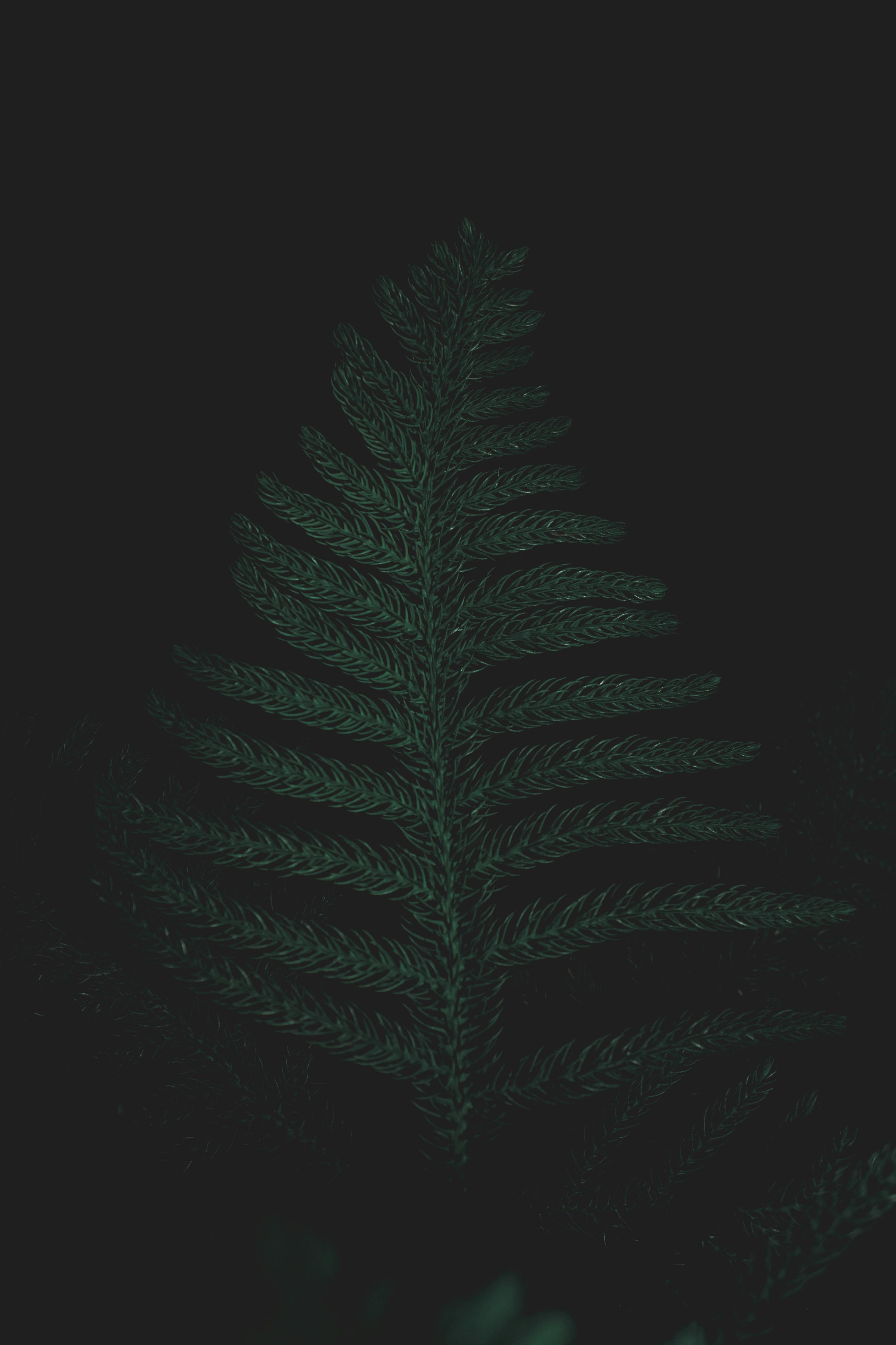 Définition de subtil | Dictionnaire français