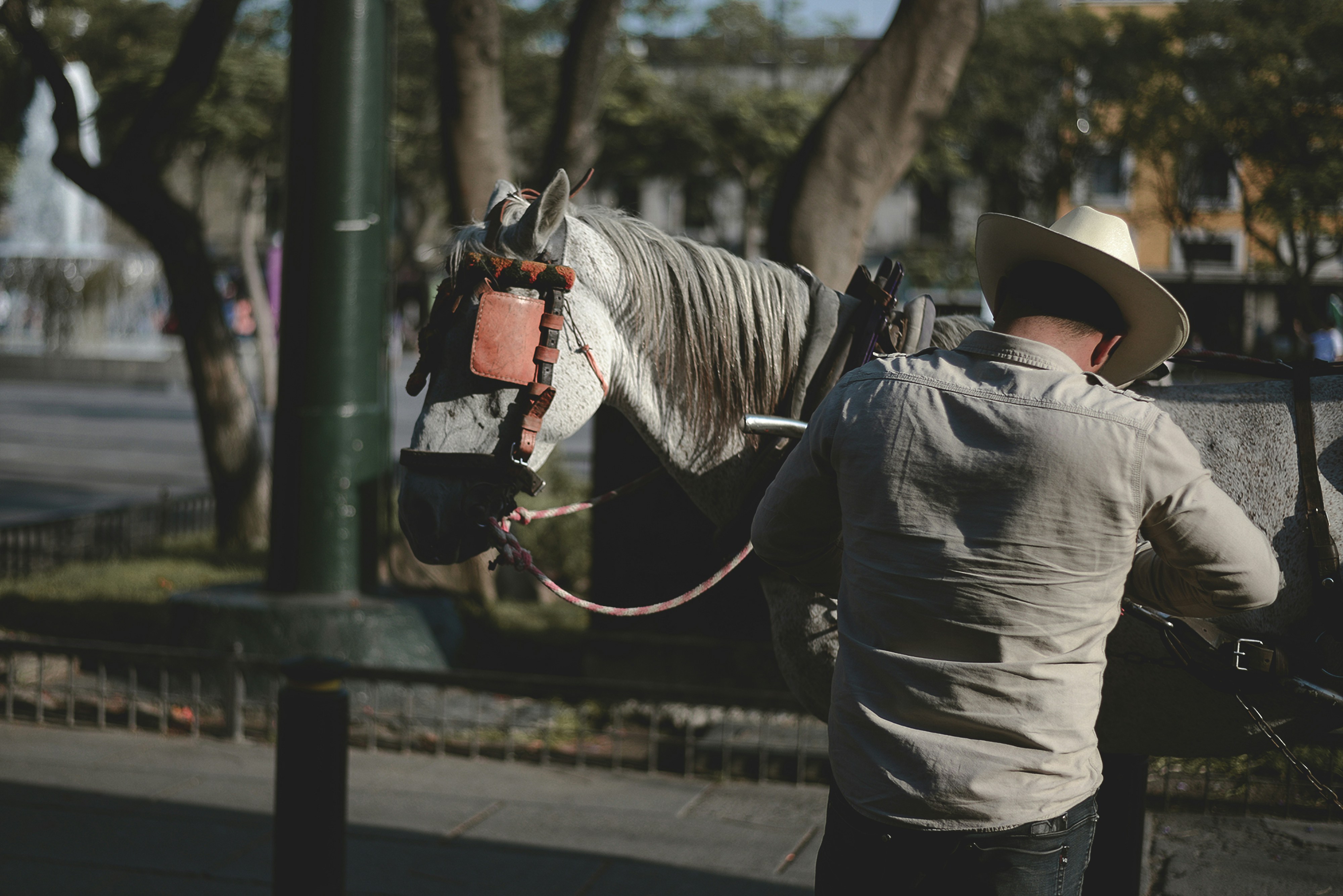 Man in a white shirt stands beside a horse under the shade of trees on a sunny day.