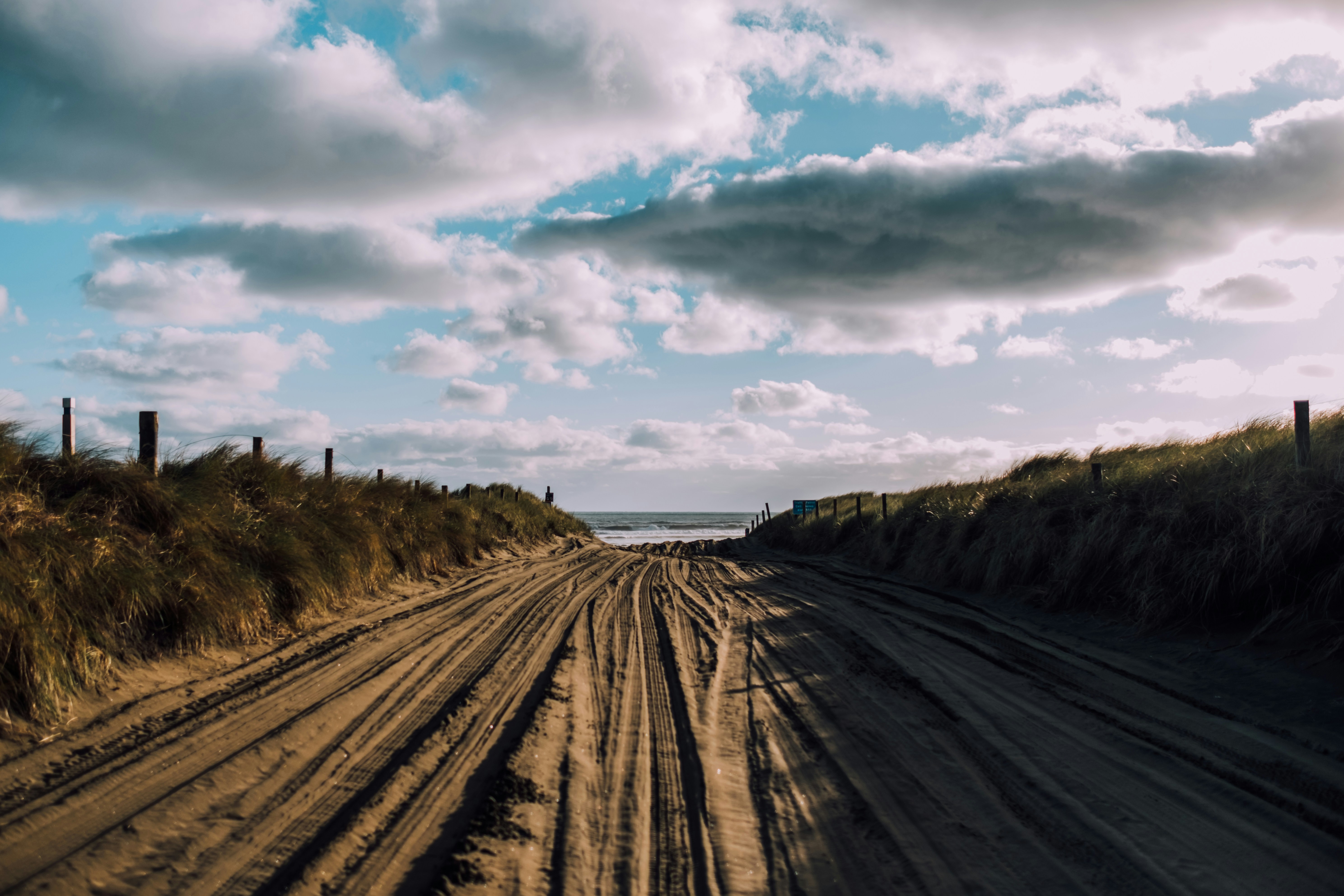 Pathway between green grass photo – Free New zealand Image on Unsplash