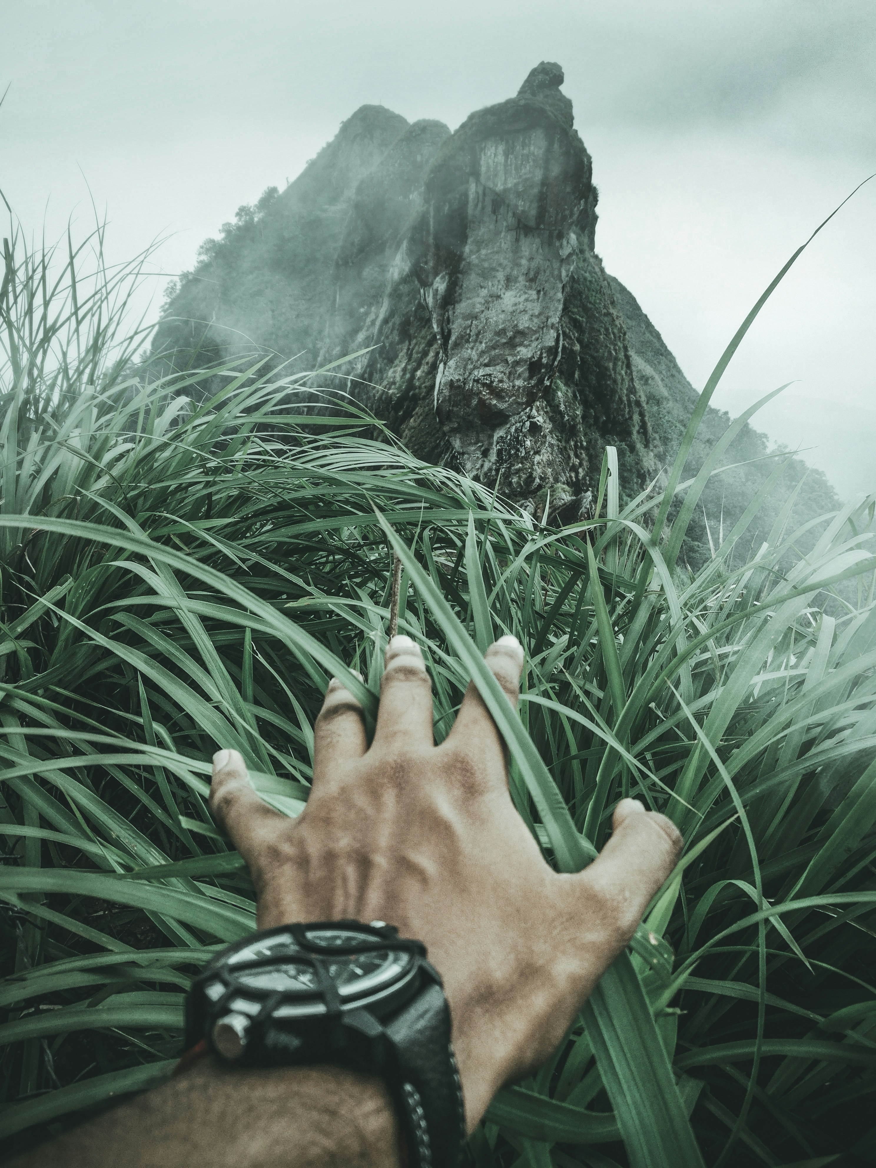 First person point of view of person clearing grass covering view ...