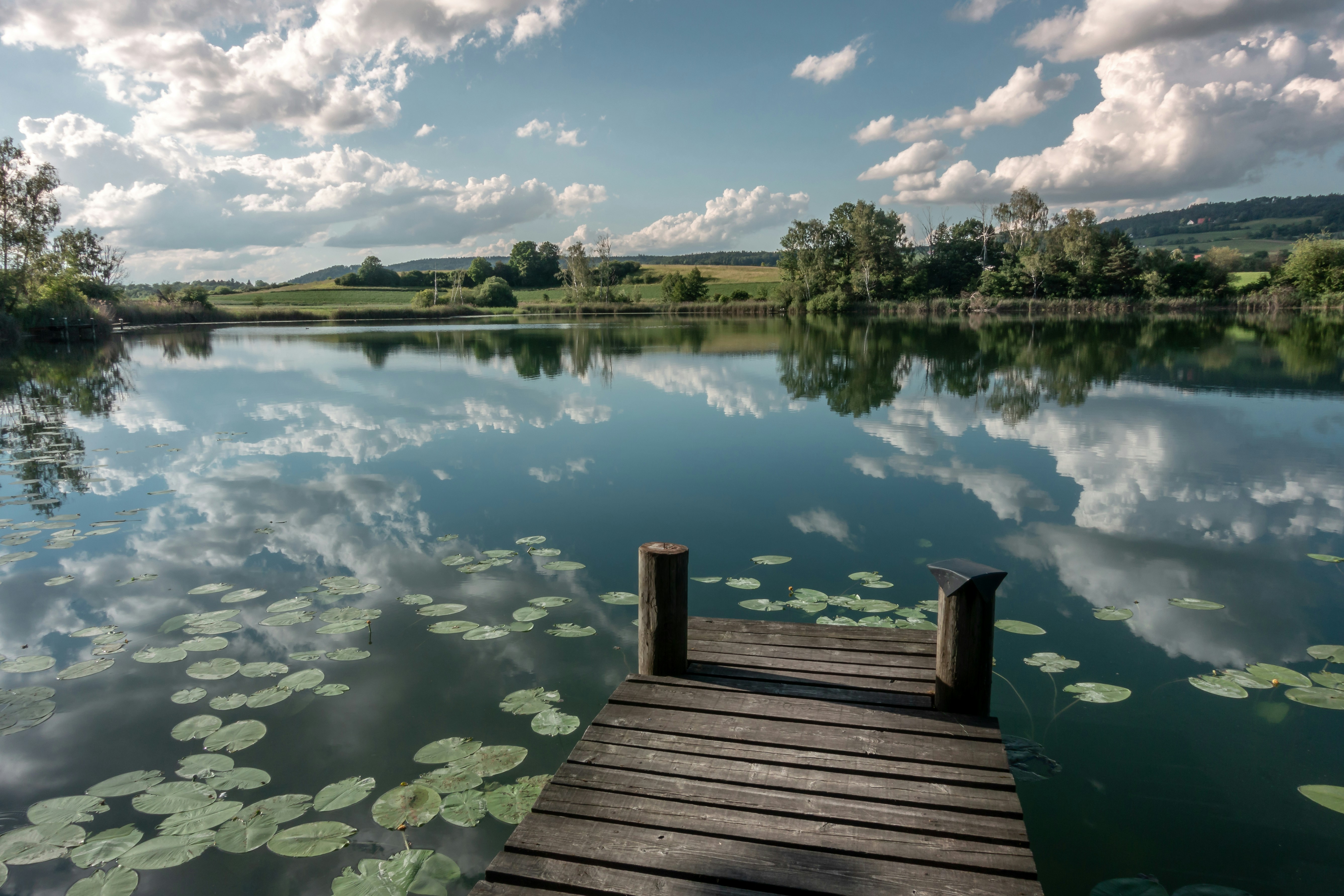 Lily-Pads at the Dock: A Lake Reflects the Sky
