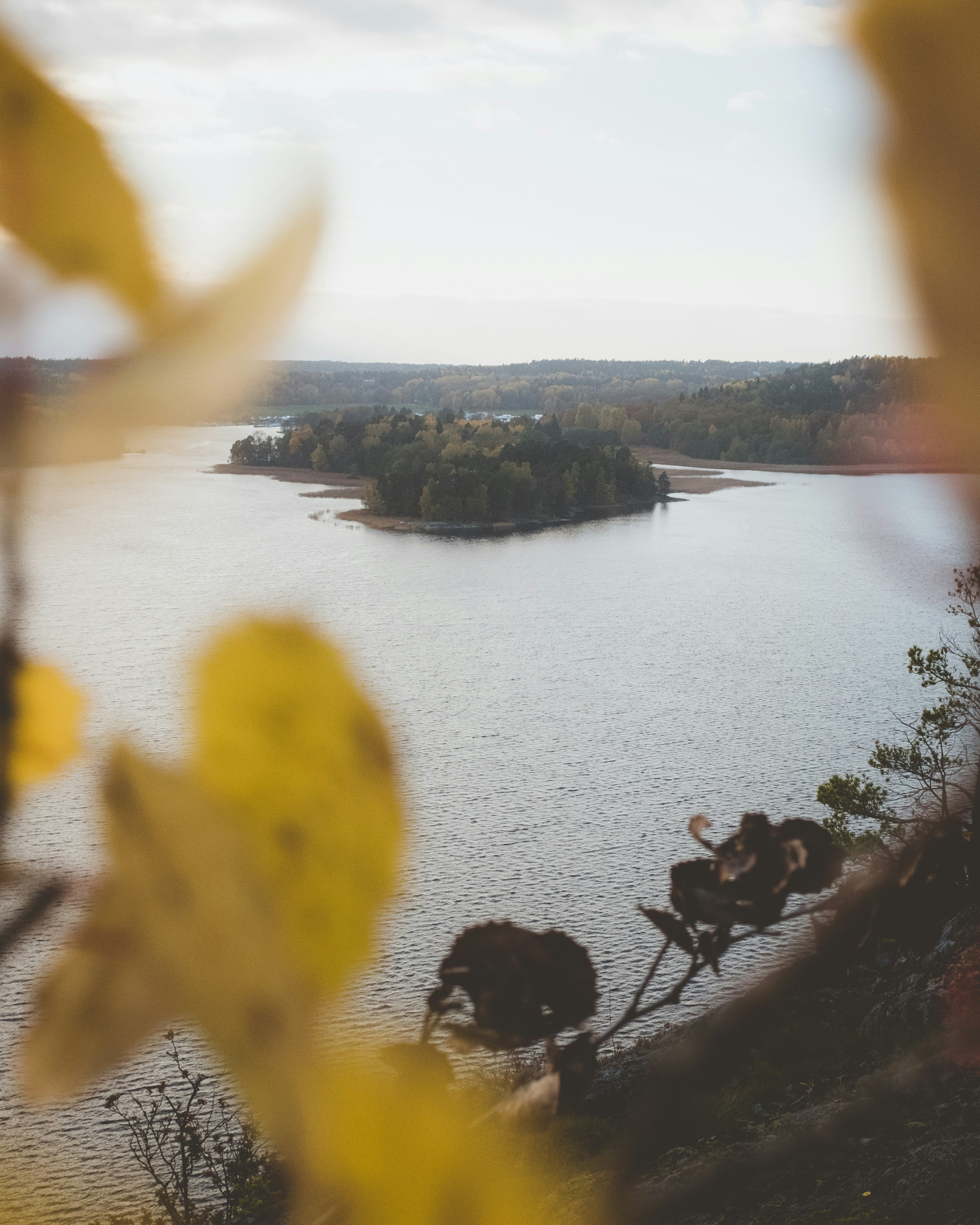 Small wooded island surrounded by calm water, framed by blurred yellow leaves in the foreground.