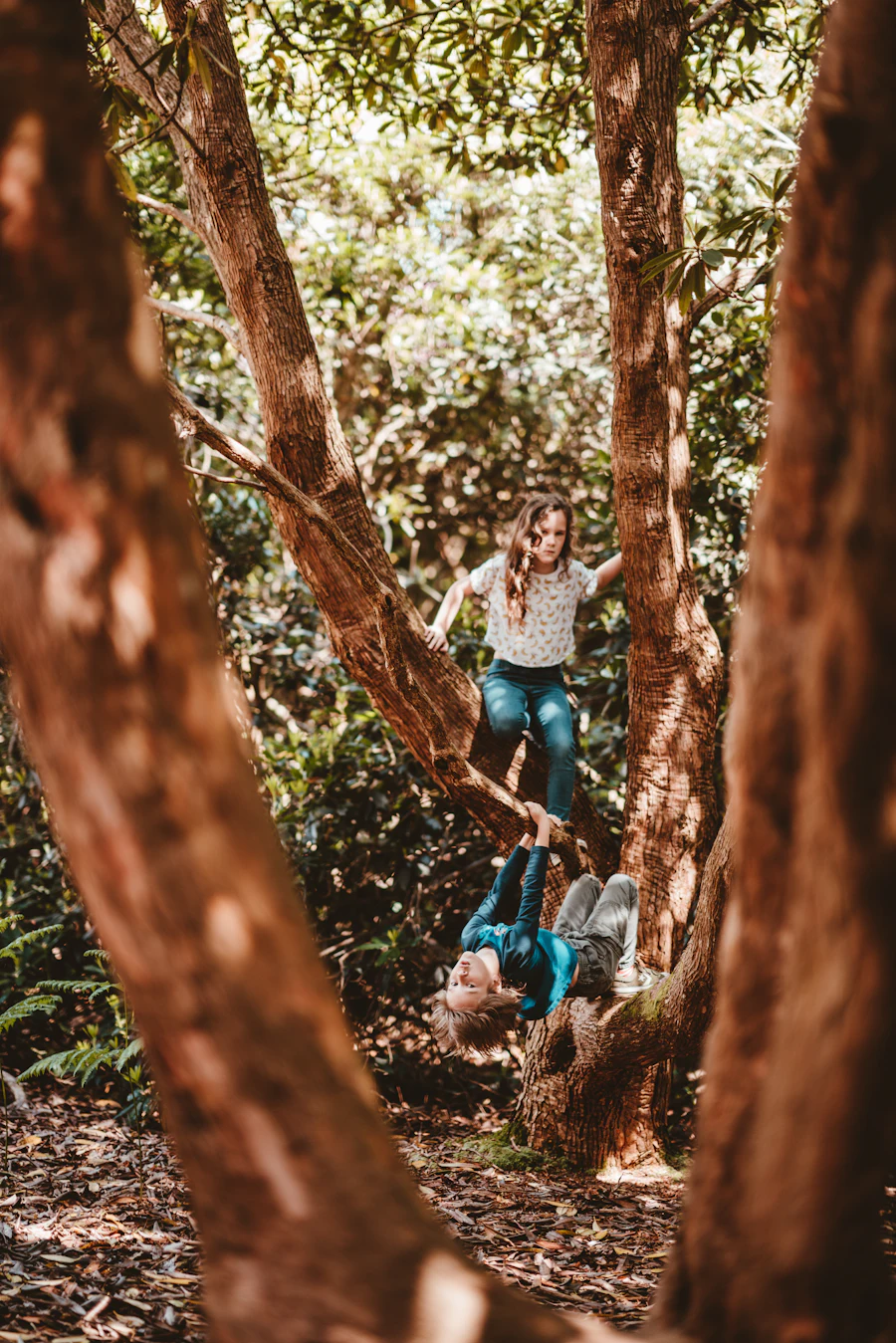 Two children playfully climbing a tree in a lush forest, showcasing the joy of childhood exploration. The scene captures the essence of outdoor adventure and imagination.
