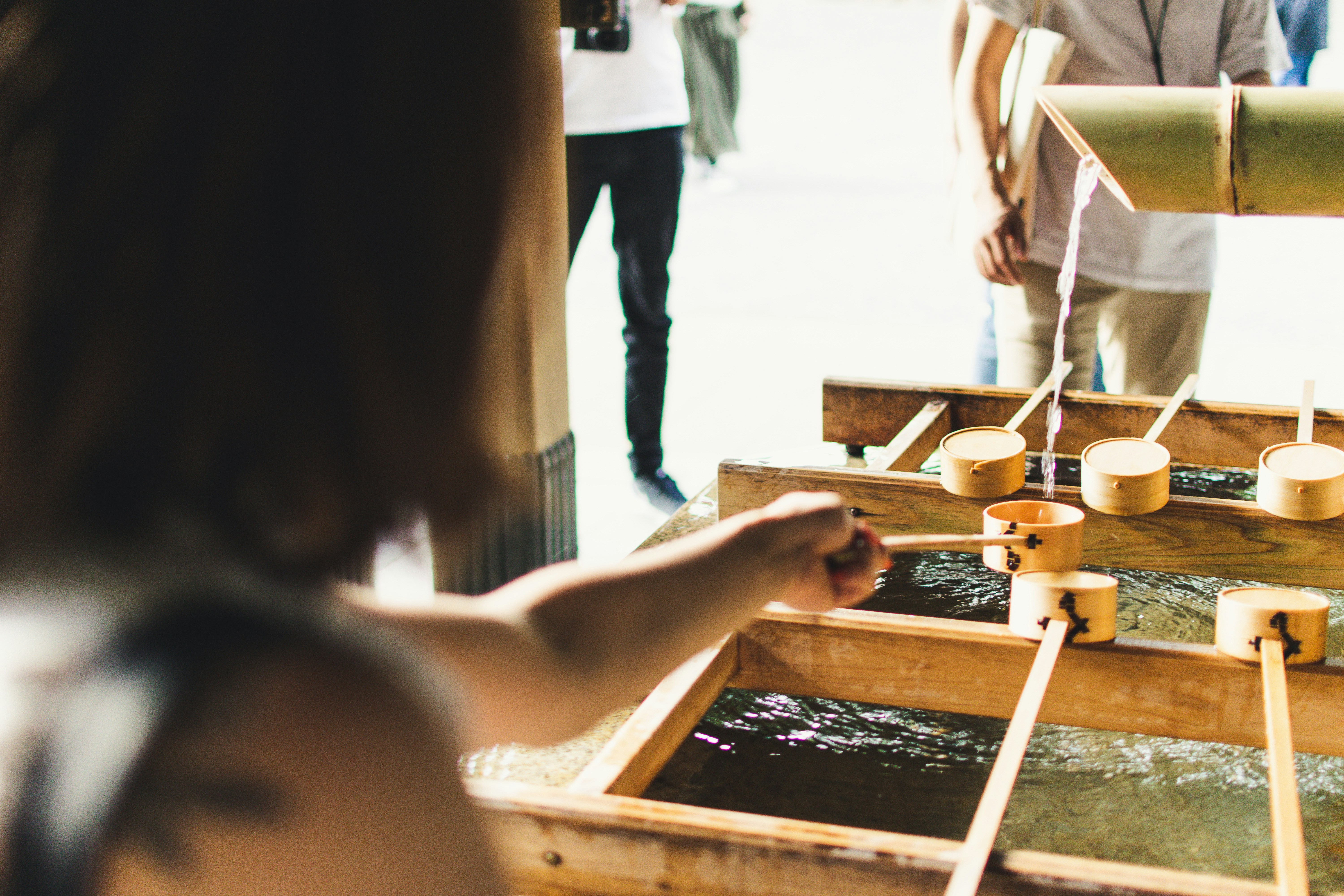 Ritual Serenity at Meiji ShrineJase Bloor