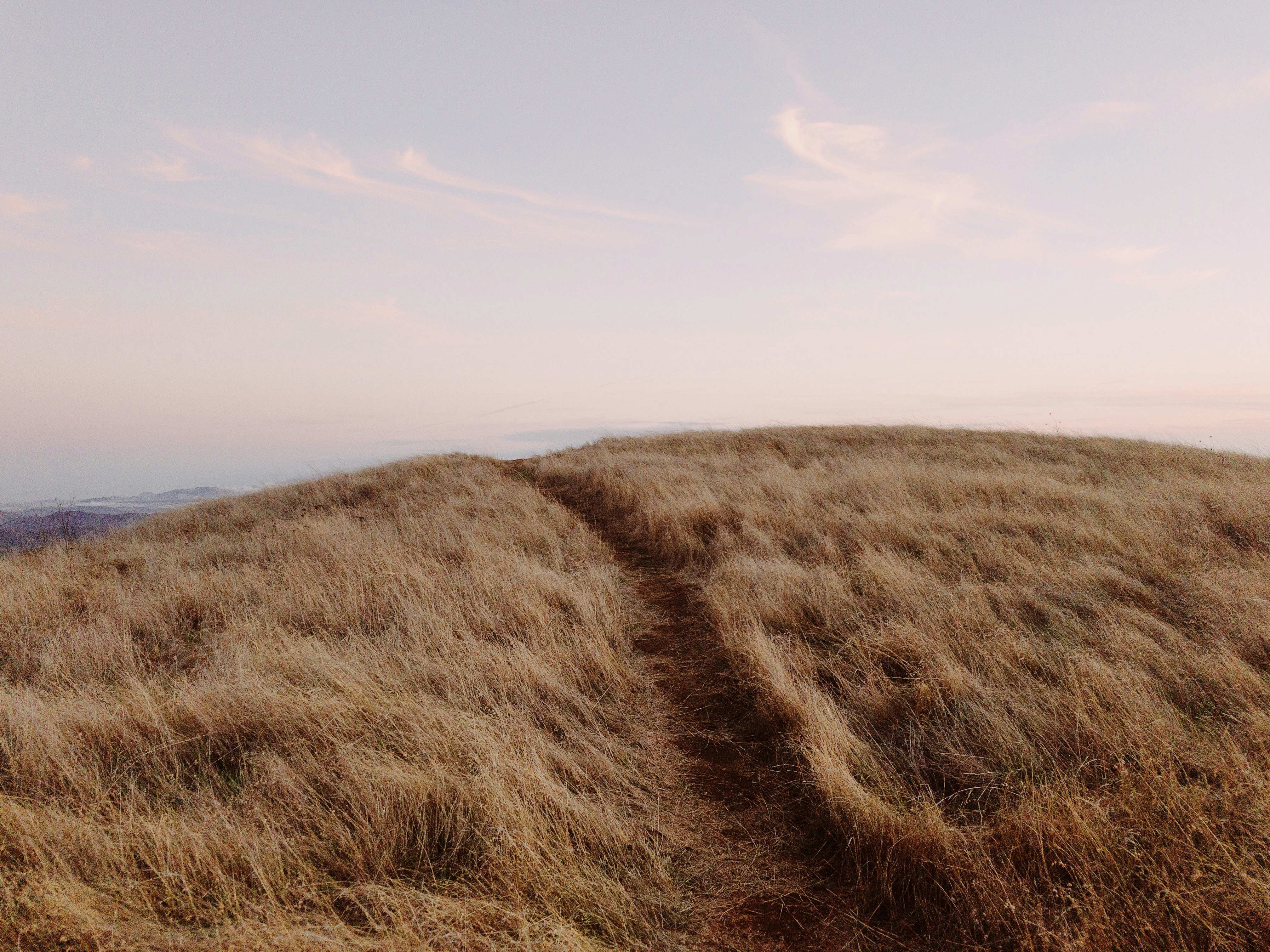 Dried grass field under blue sky during daytime photo – Free Mount ...