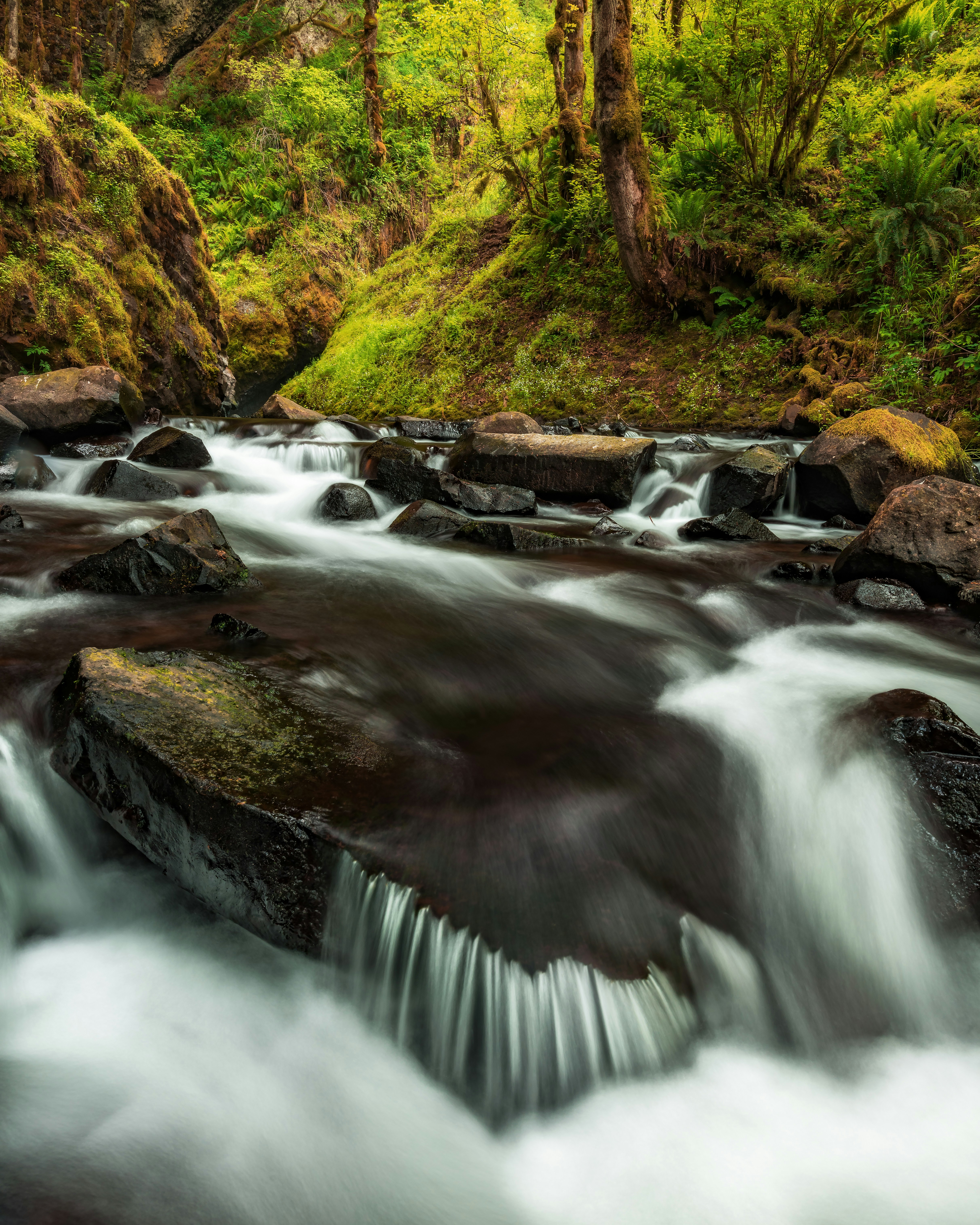 Bridal Veil Falls is a waterfall located on Bridal Veil Creek in the Columbia River Gorge in Multnomah County, Oregon, United States. The Historic Columbia River Highway passes over Bridal Veil Falls on a bridge.
