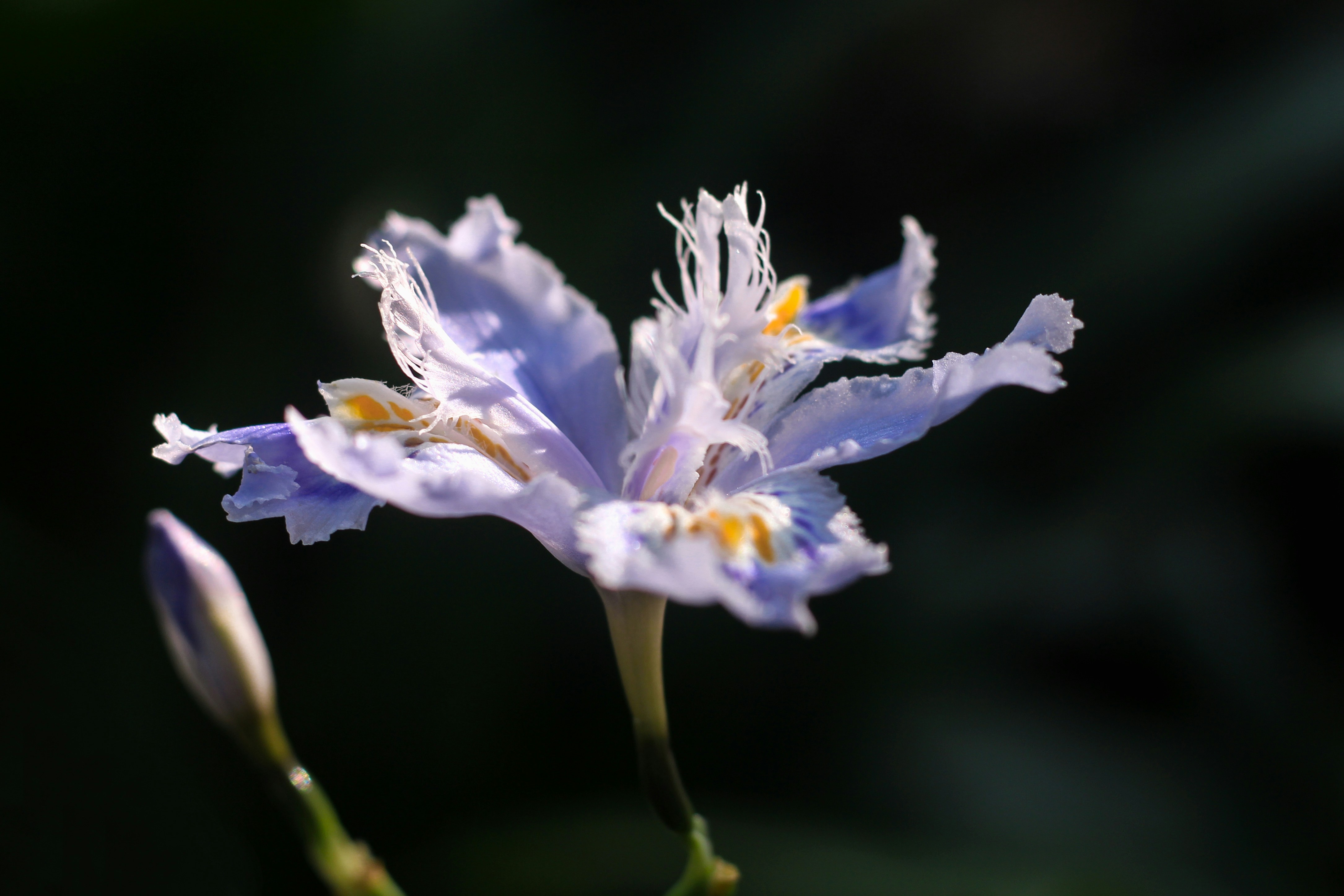 Echo (@transparent) | Unsplash 사진 커뮤니티
