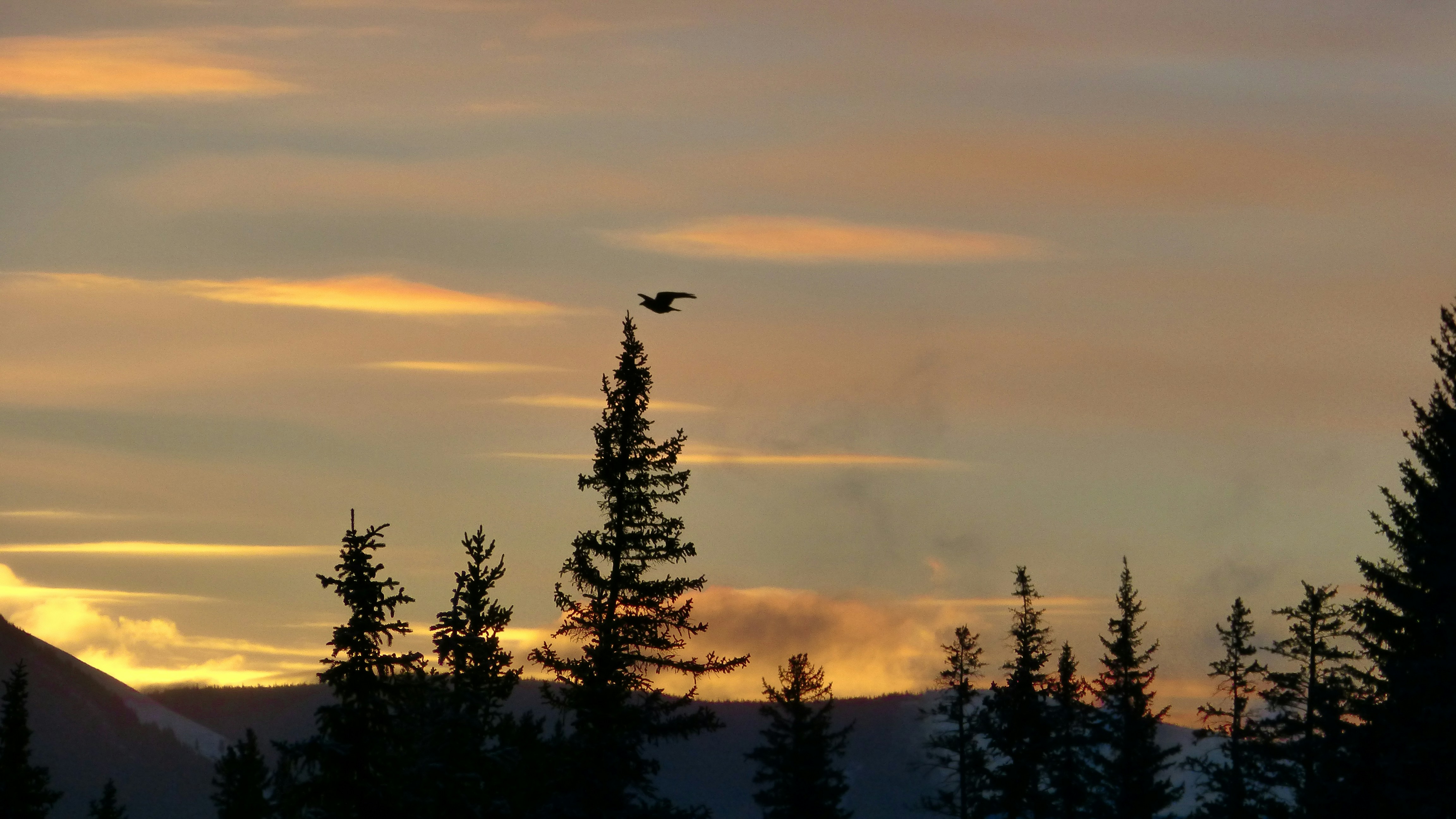 Trees and mountains in sunset photo photo – Free Canmore Image on Unsplash