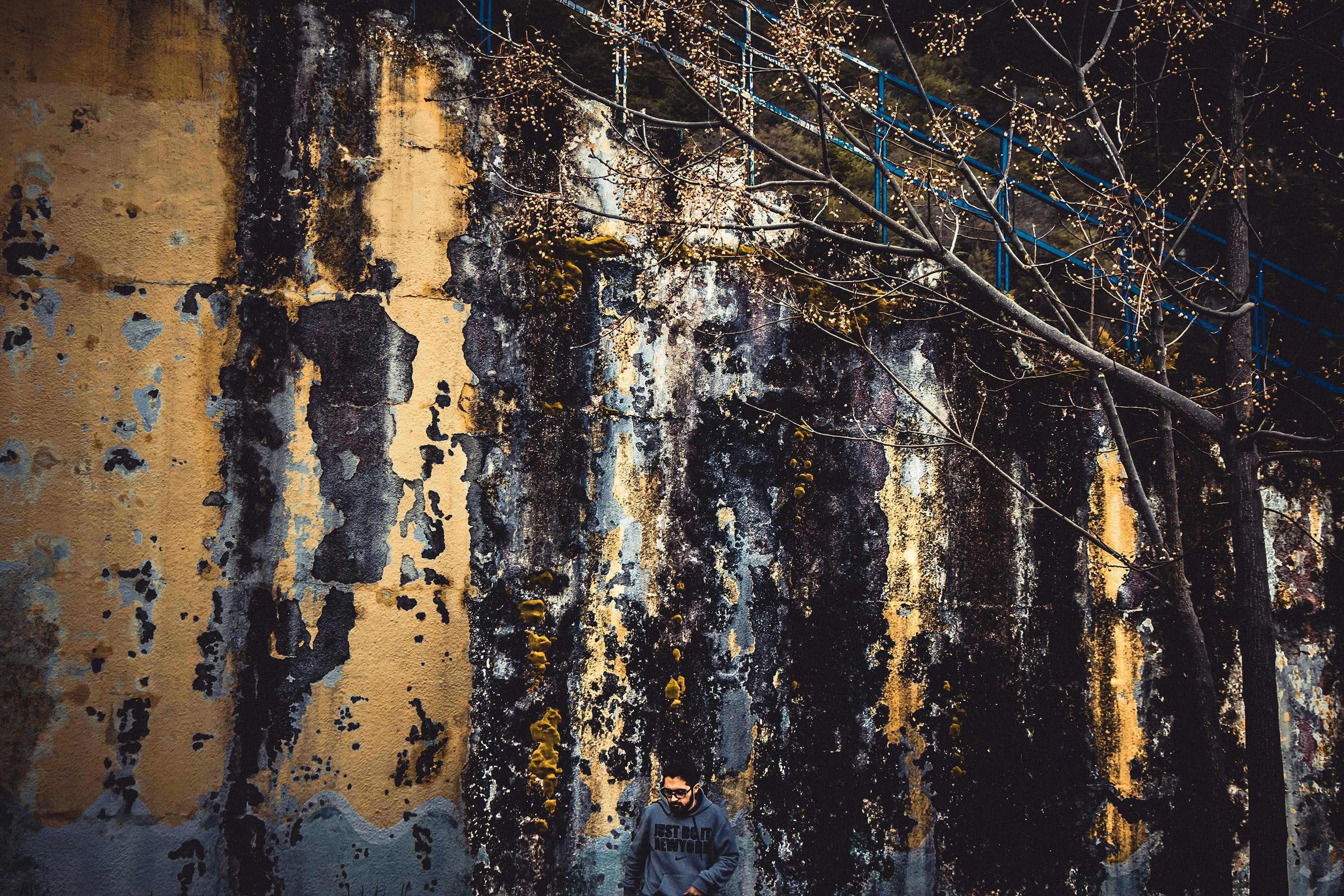 A weathered wall adorned with peeling paint and moss, contrasted by a solitary figure engaged in contemplation. The scene captures the intersection of urban decay and natural beauty.