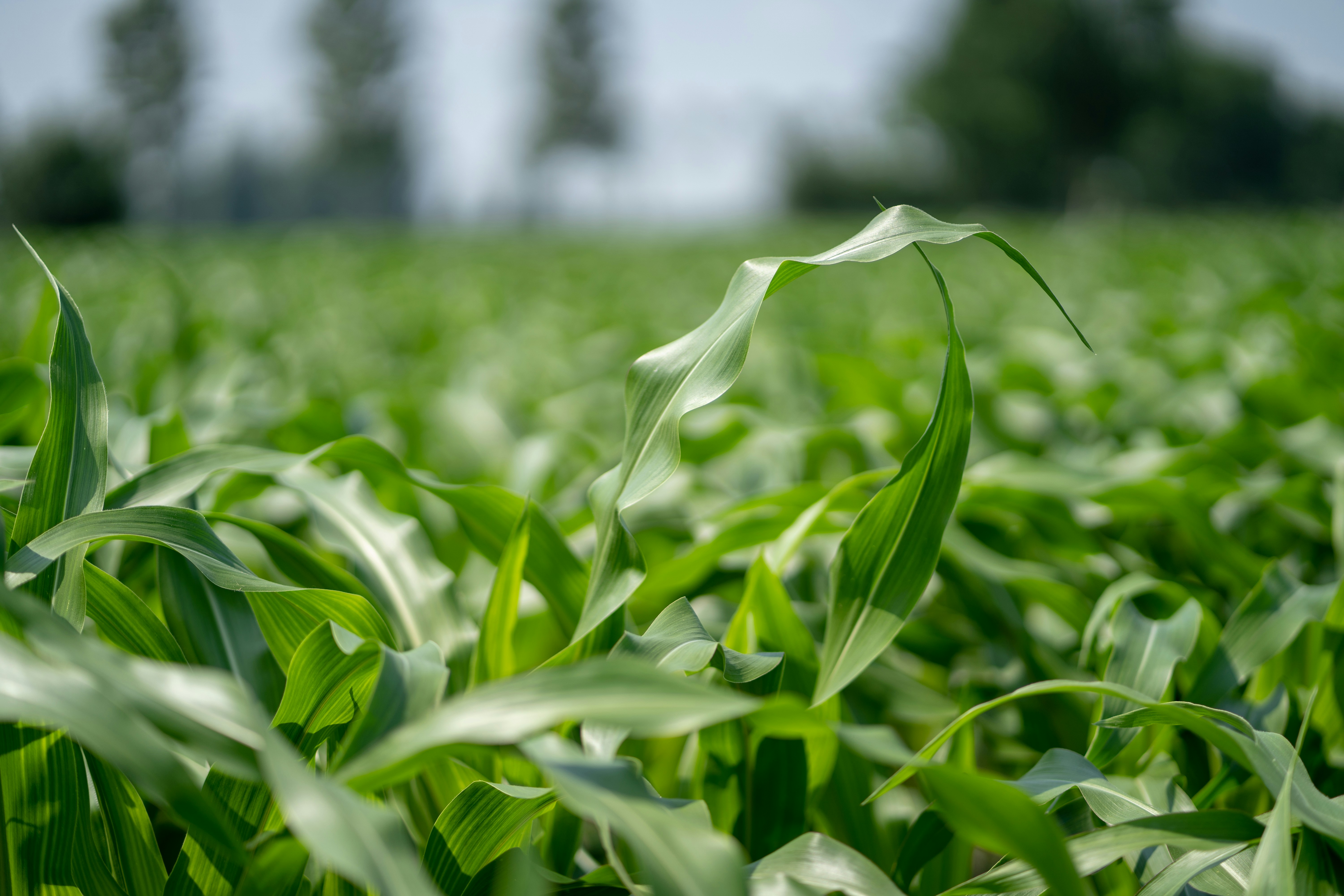 Dylan de Jonge (@dylandejonge) | Communauté photos Unsplash