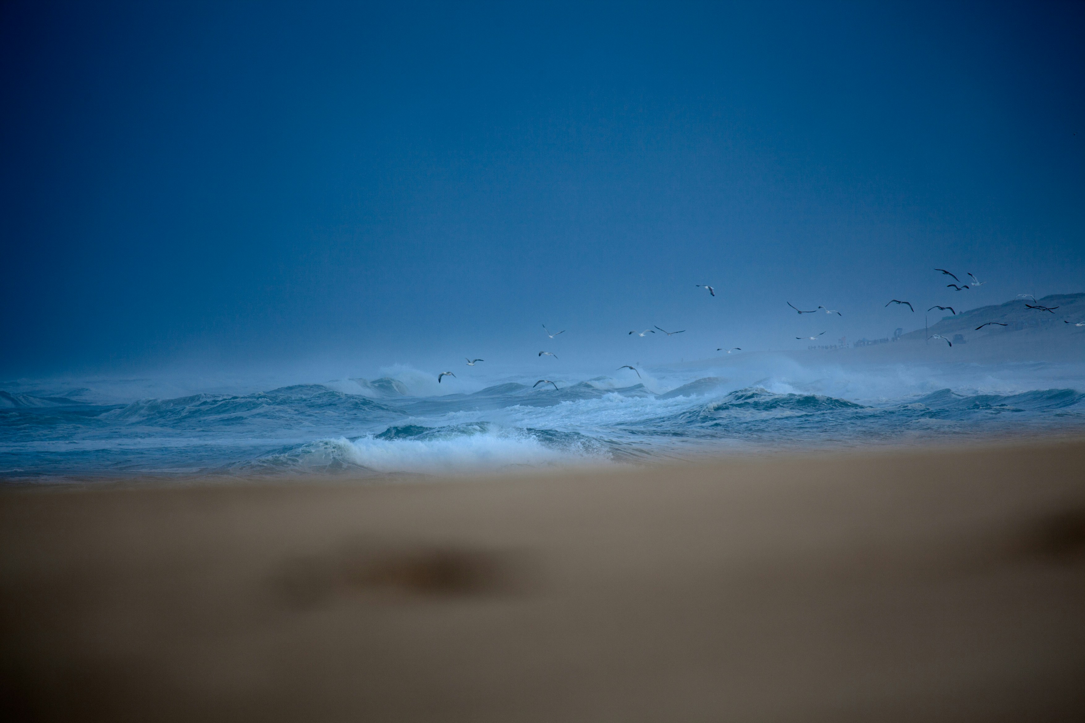 Waves crash against the shore under a moody blue sky, with seabirds soaring gracefully above the turbulent water.