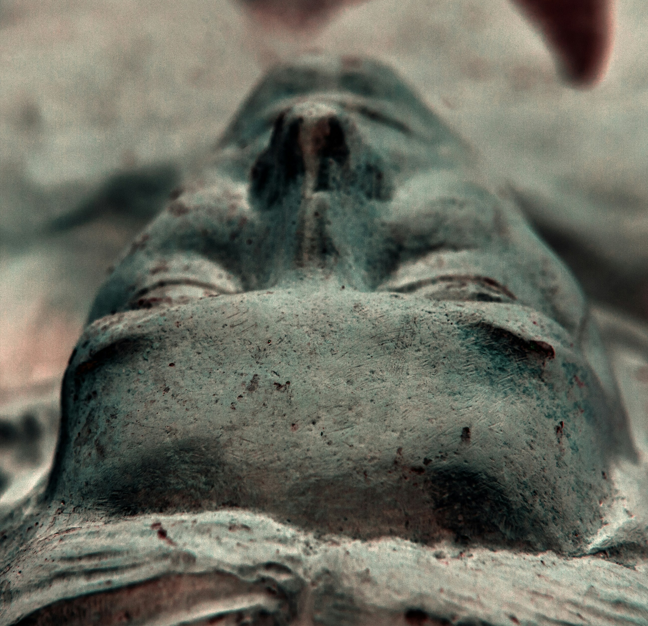 Close-up photograph of a weathered statue's face, highlighting dusty textures, chipped contours, and a muted patina.