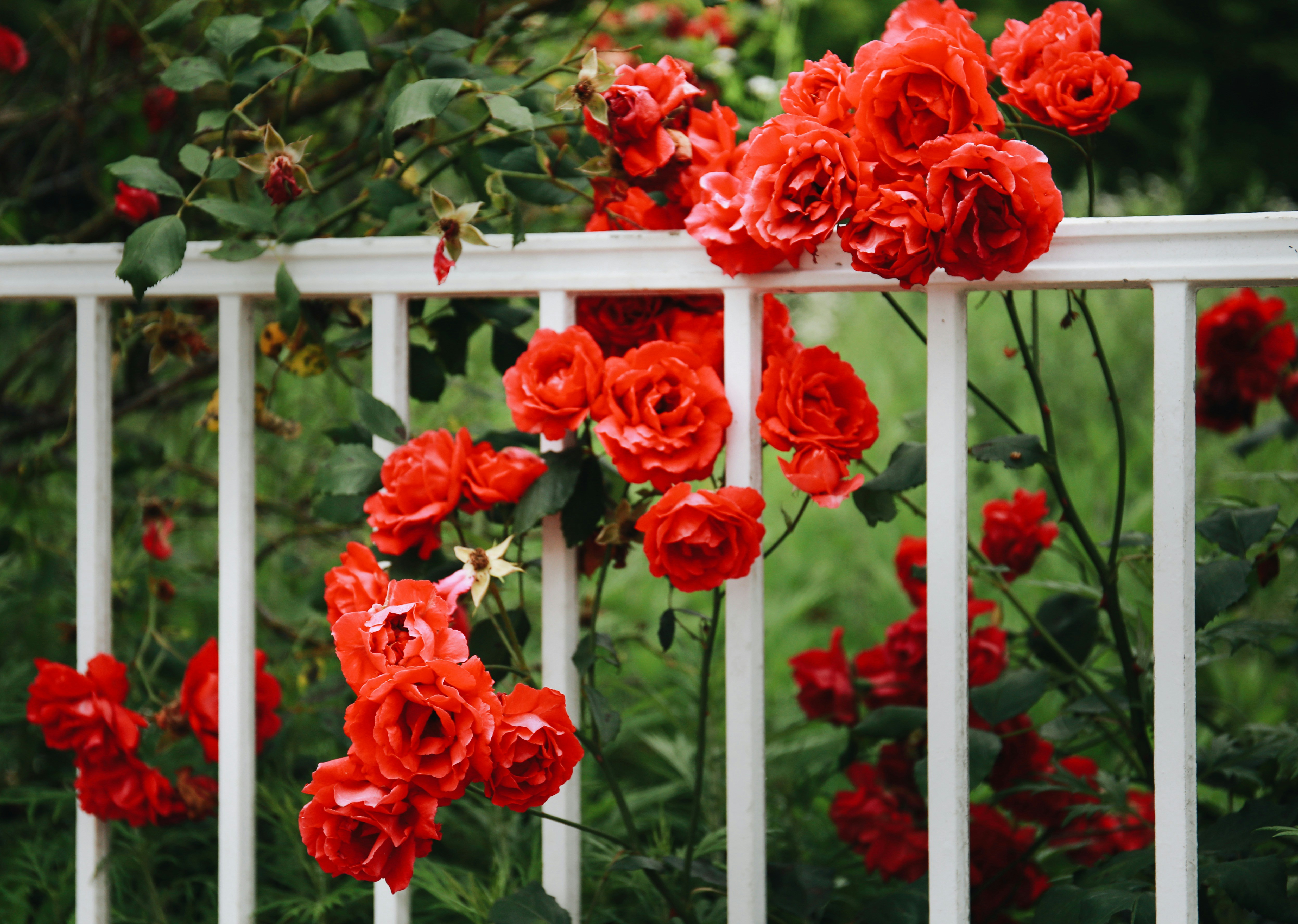 zixuan Fu (@fuzixuan) | Comunidade de fotos da Unsplash