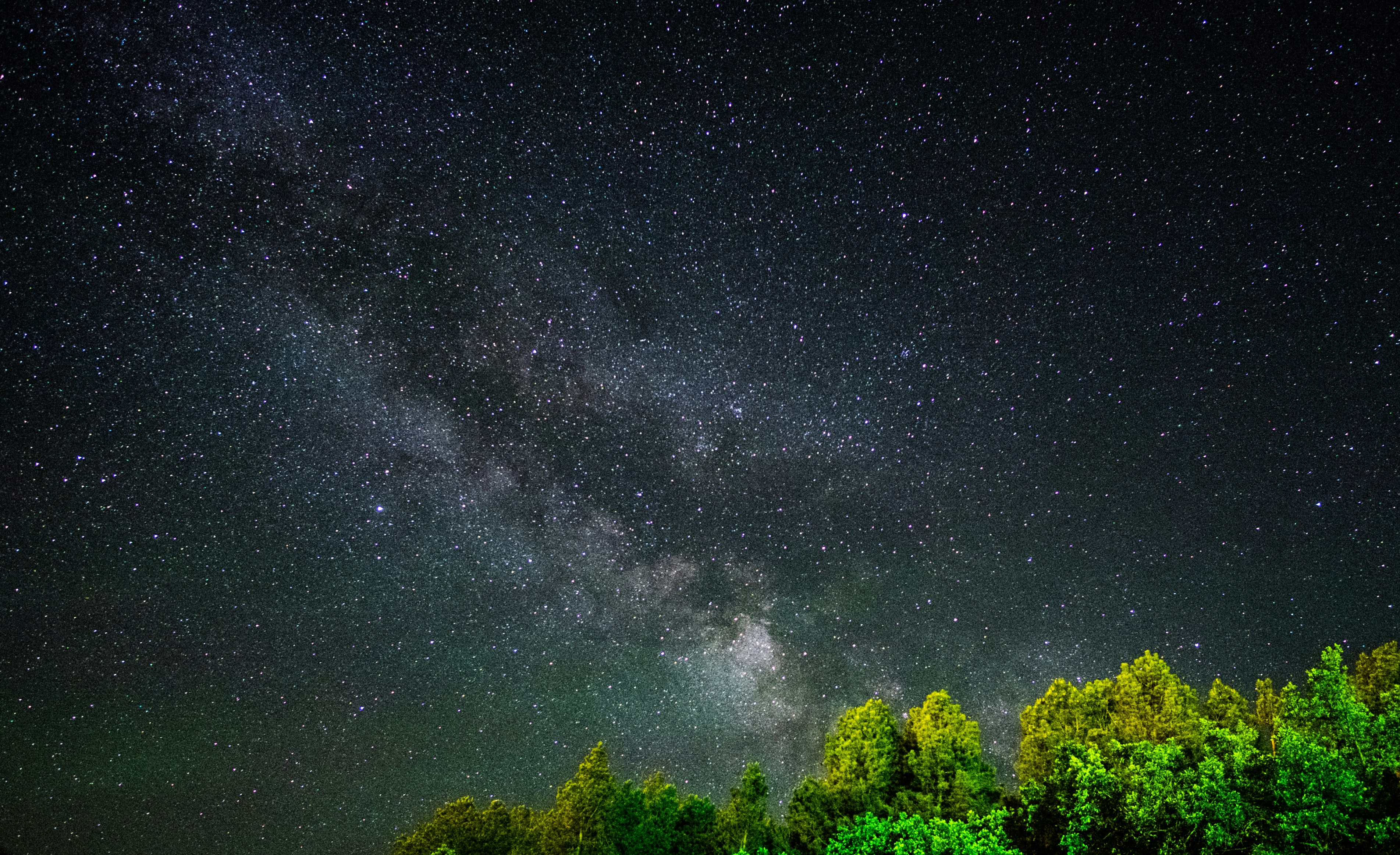 Milky Way strewn across a dark night sky above a silhouette of pine trees.
