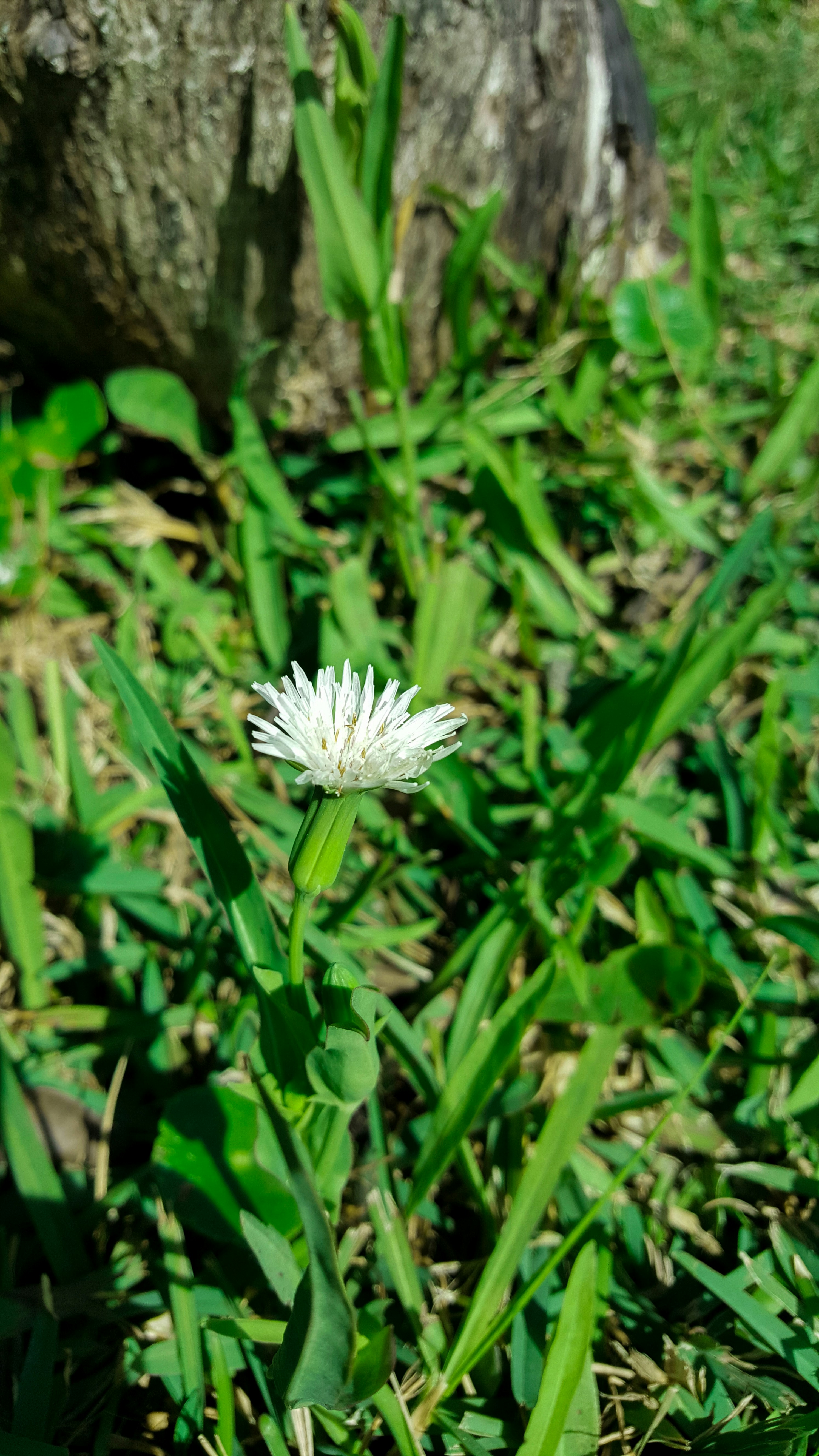 Ruan Carlos (@rcpolski) | Unsplash 사진 커뮤니티