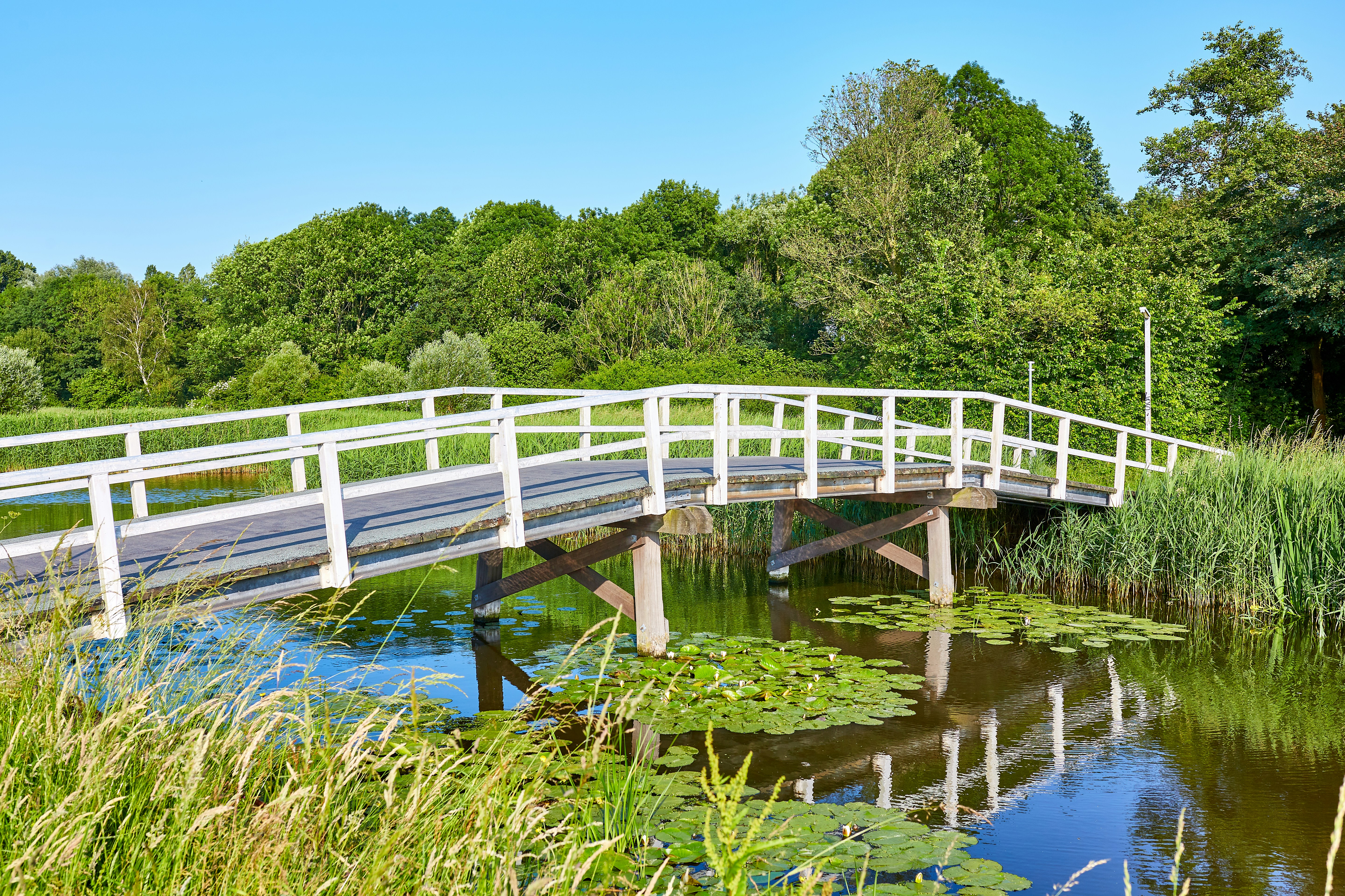Bridges | 13 best free bridge, building, outdoor and architecture ...