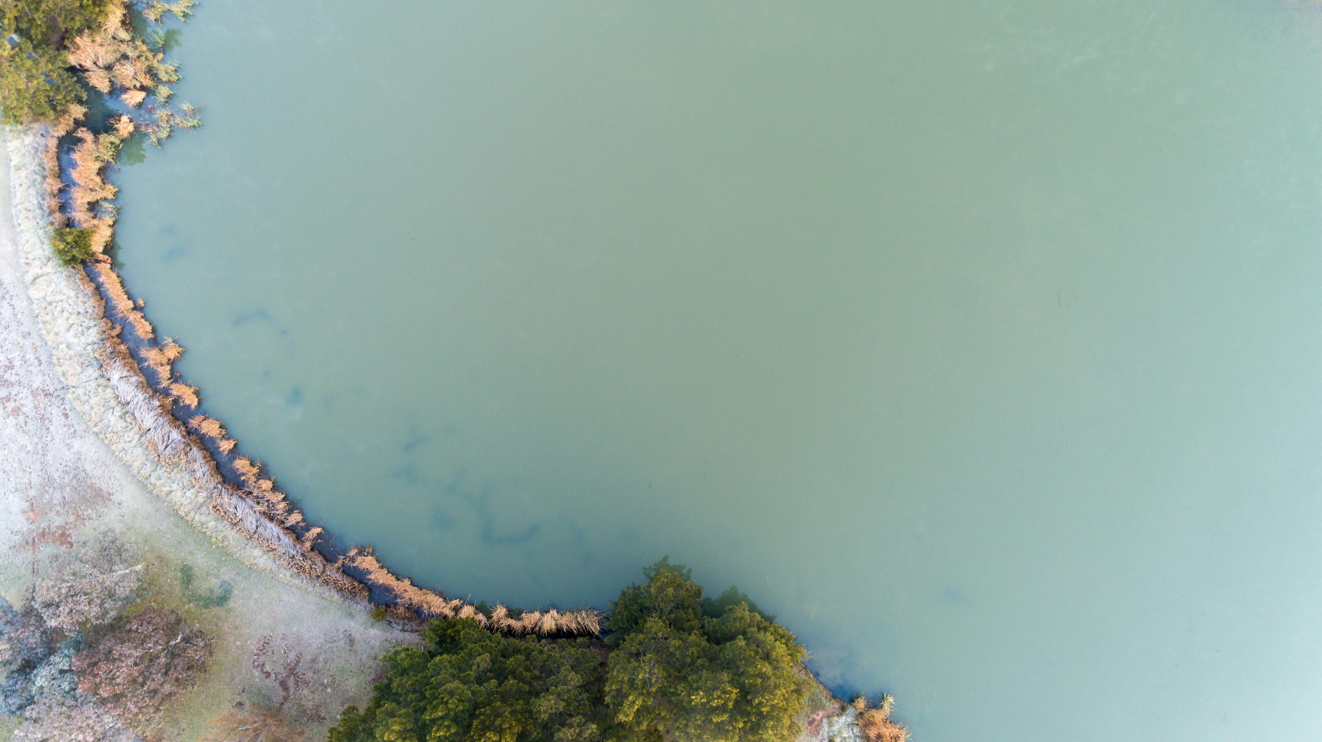 Aerial view of a tree-lined island edge meeting a tranquil body of water.