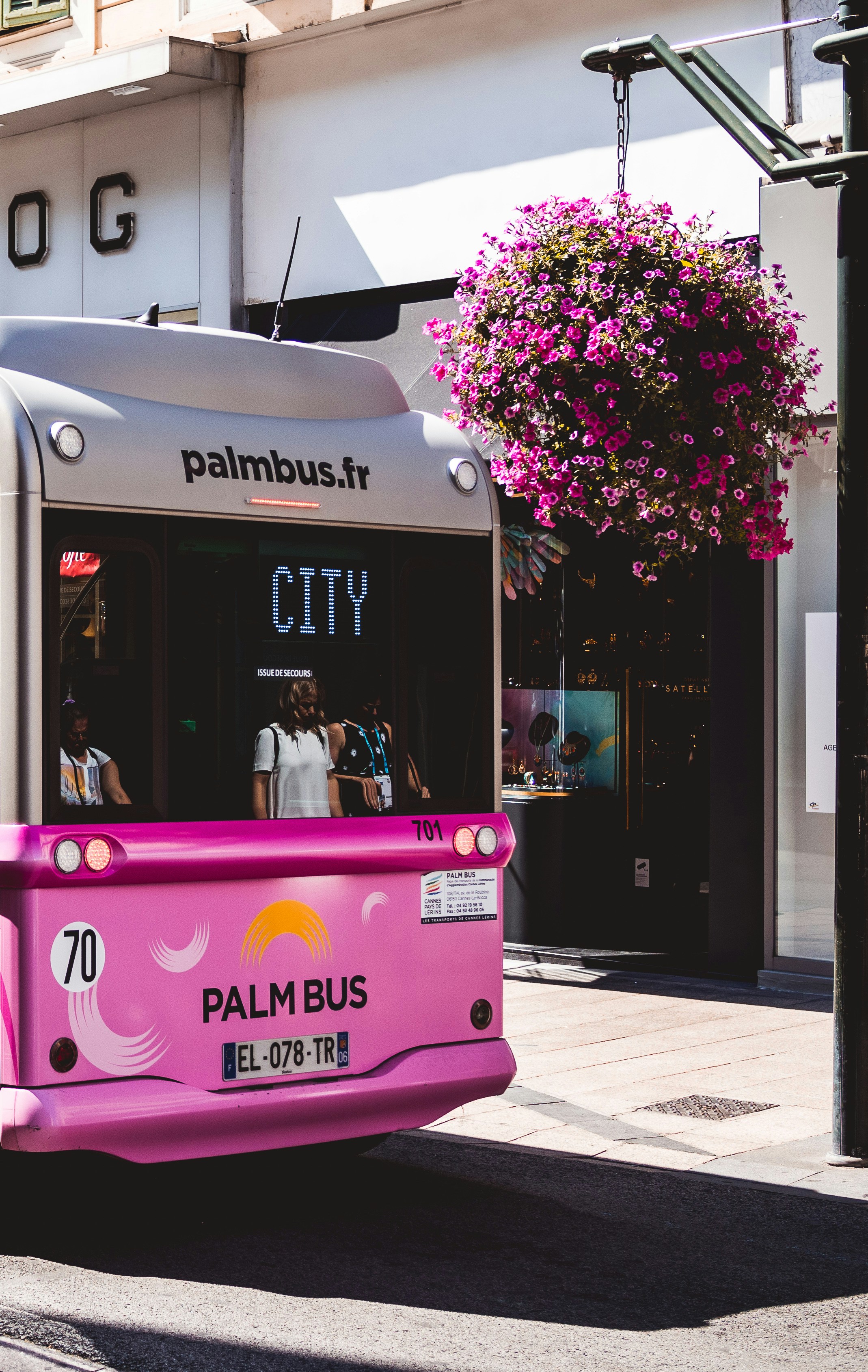 Candy Paint