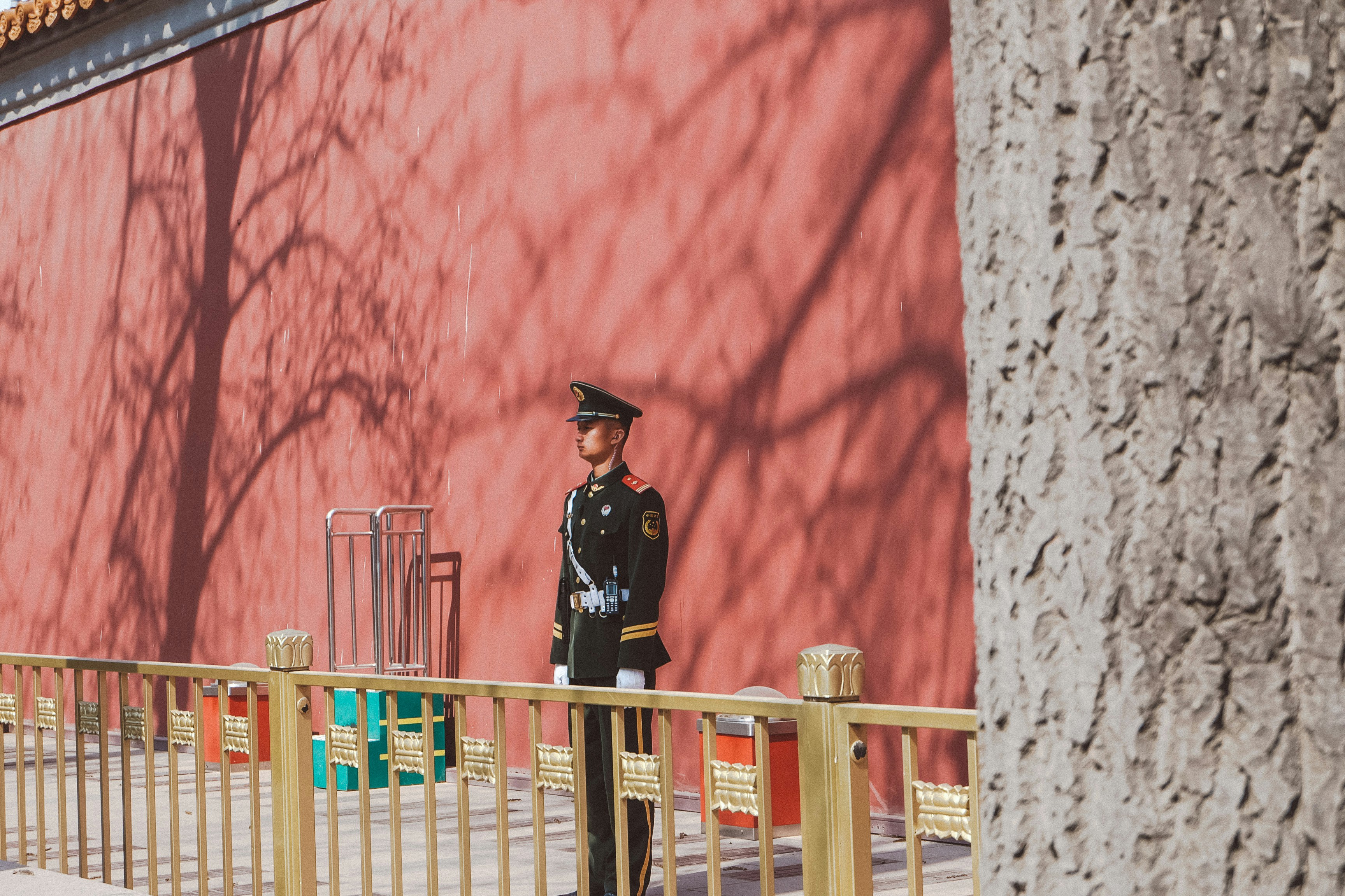 A ceremonial soldier stands vigilant beside a vibrant red wall, with shadows of nearby trees casting intricate patterns on the ground.