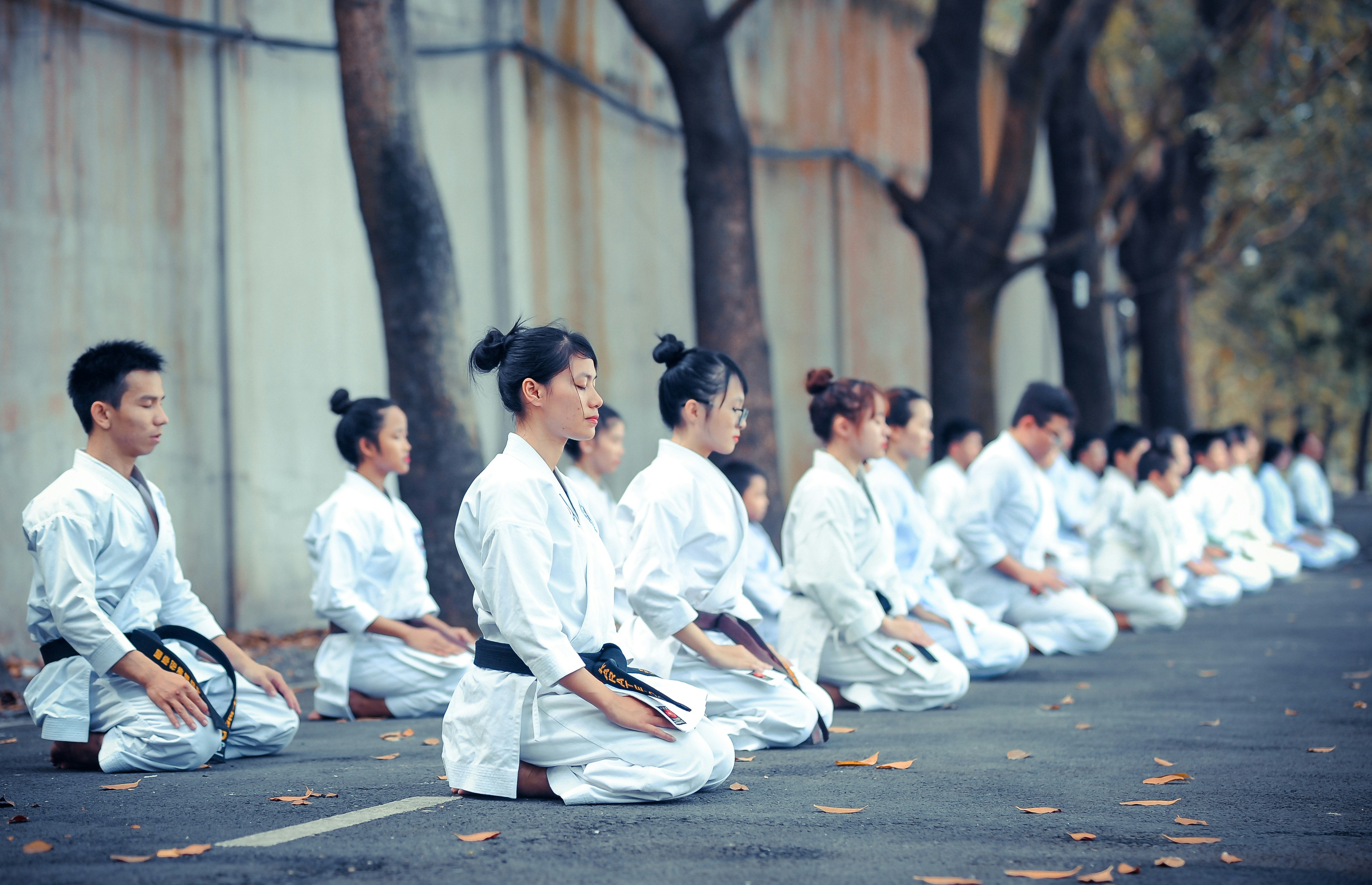 The Art of Controlled Power: How Karate Teaches Precision and Restraint