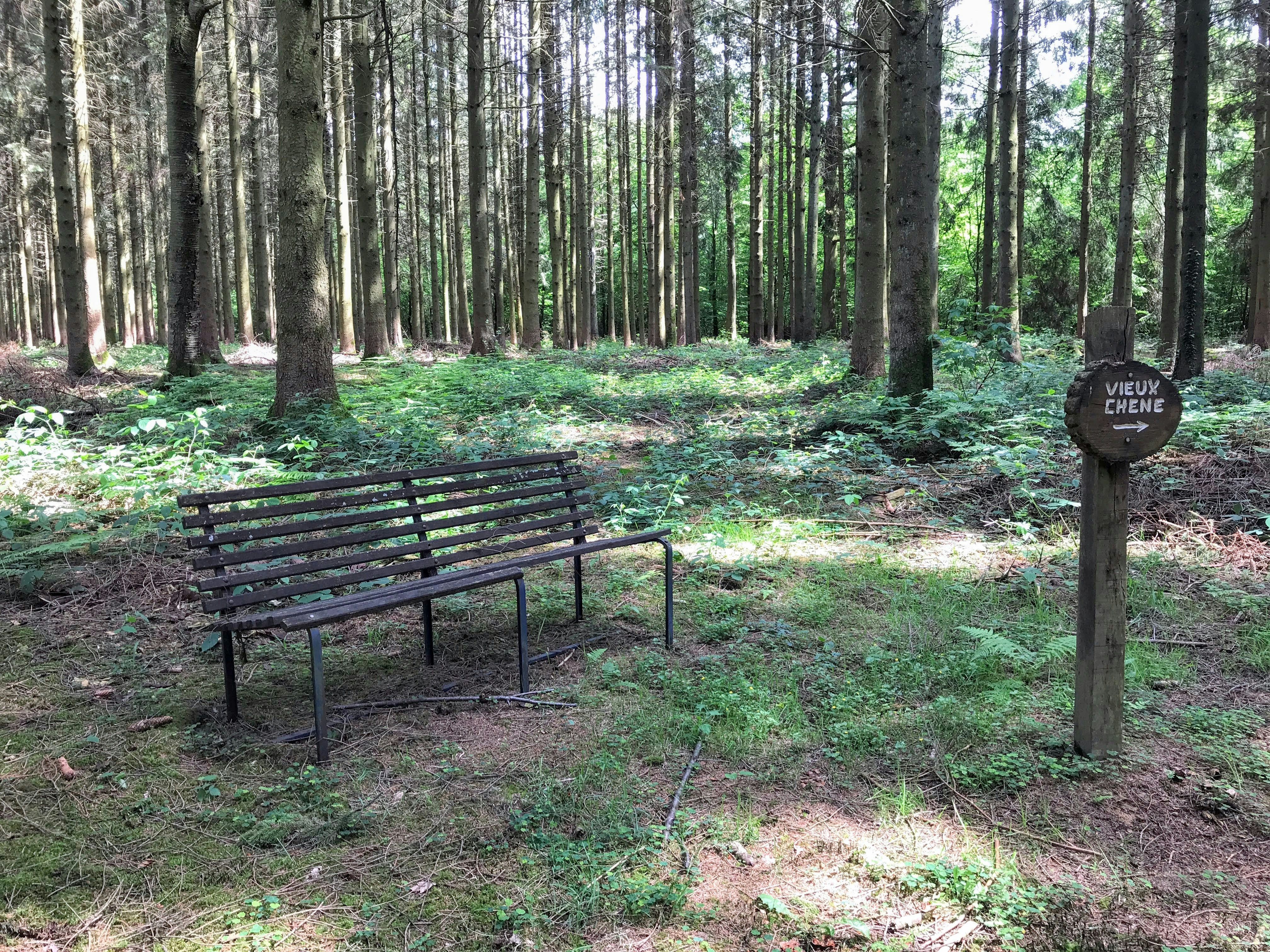 Lili D (@lilid) | Unsplash Photo Community