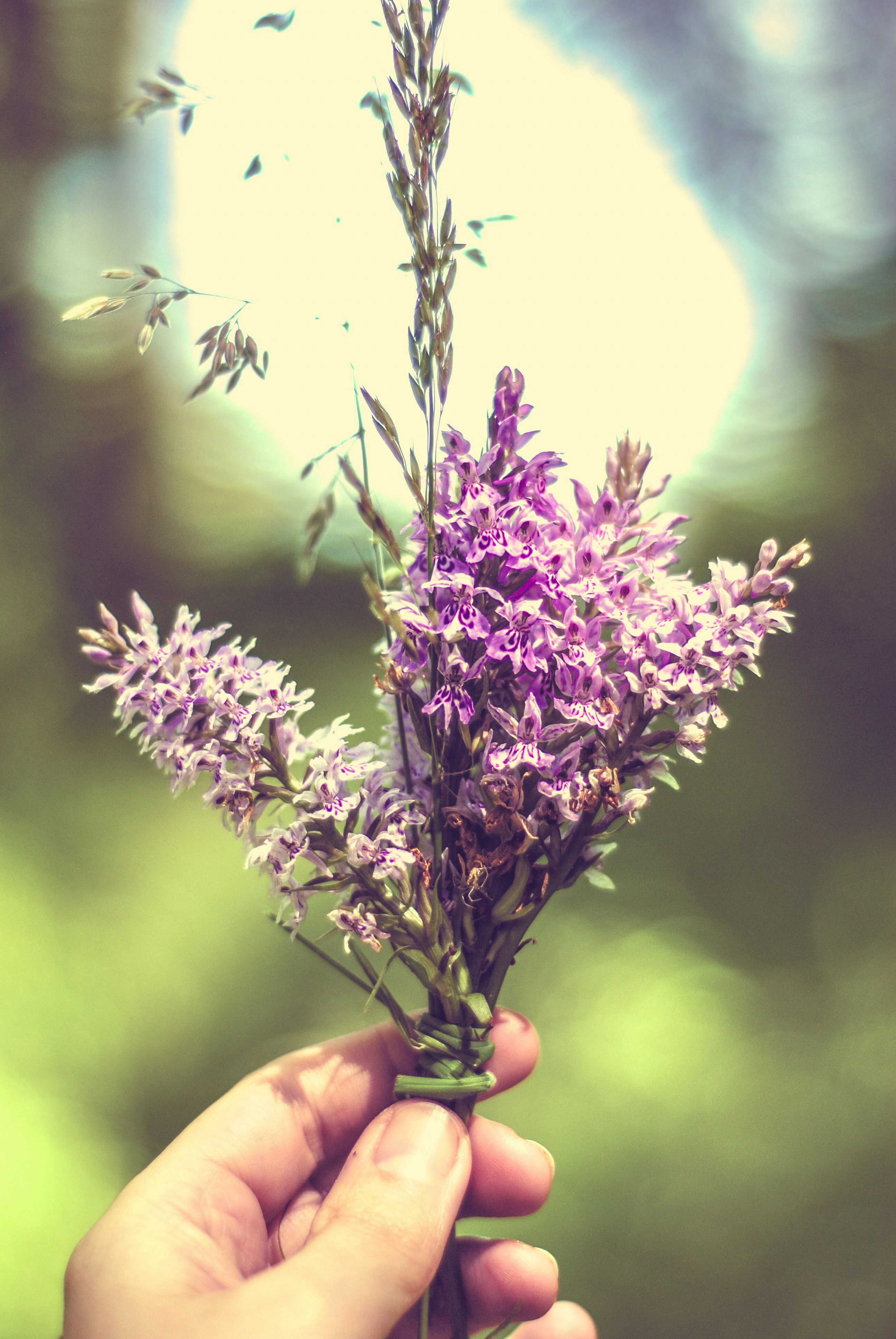 Hand holding a delicate bouquet of purple wildflowers against a softly blurred green background.