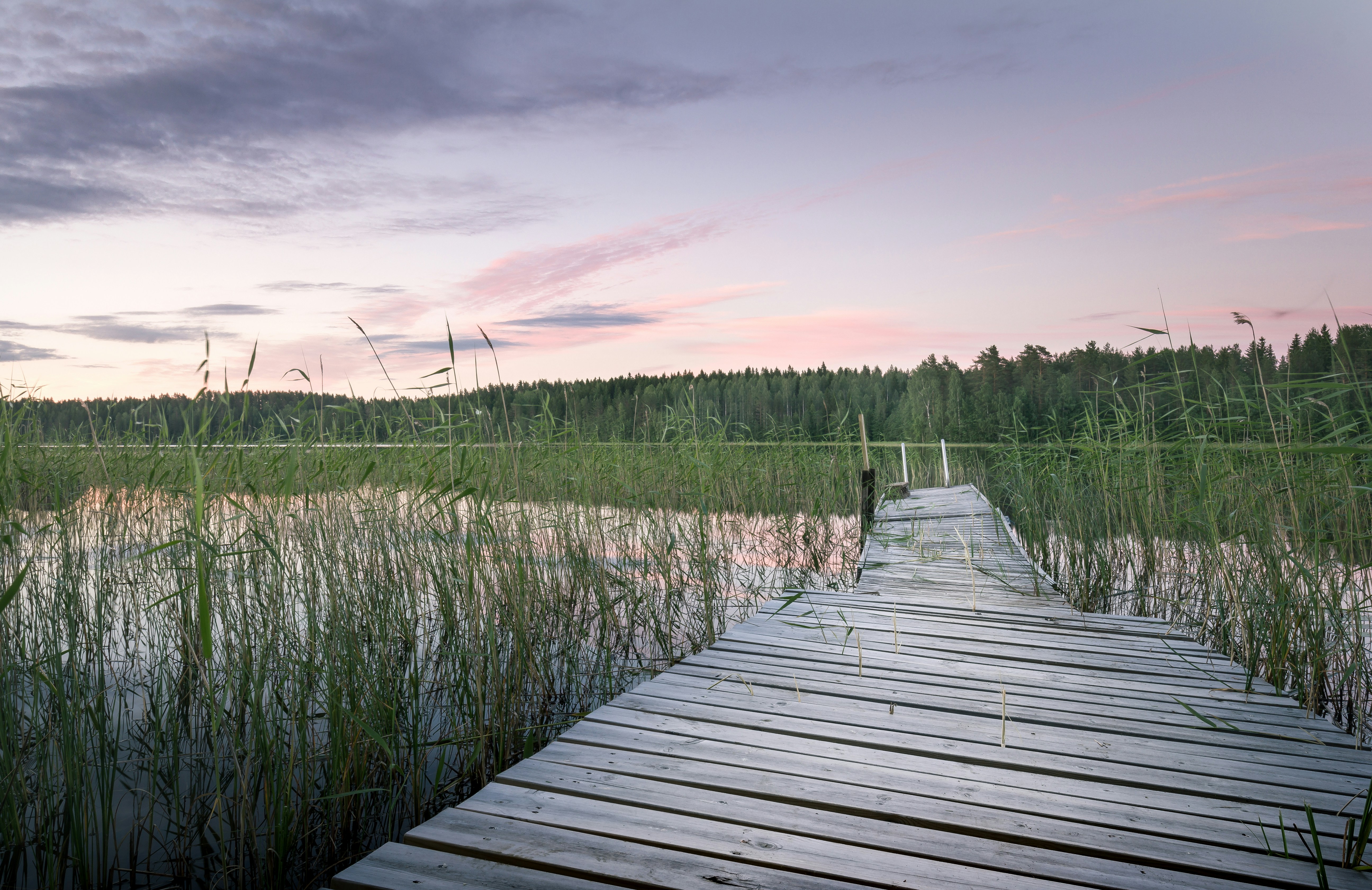 Tranquil Path to the Northern Horizon