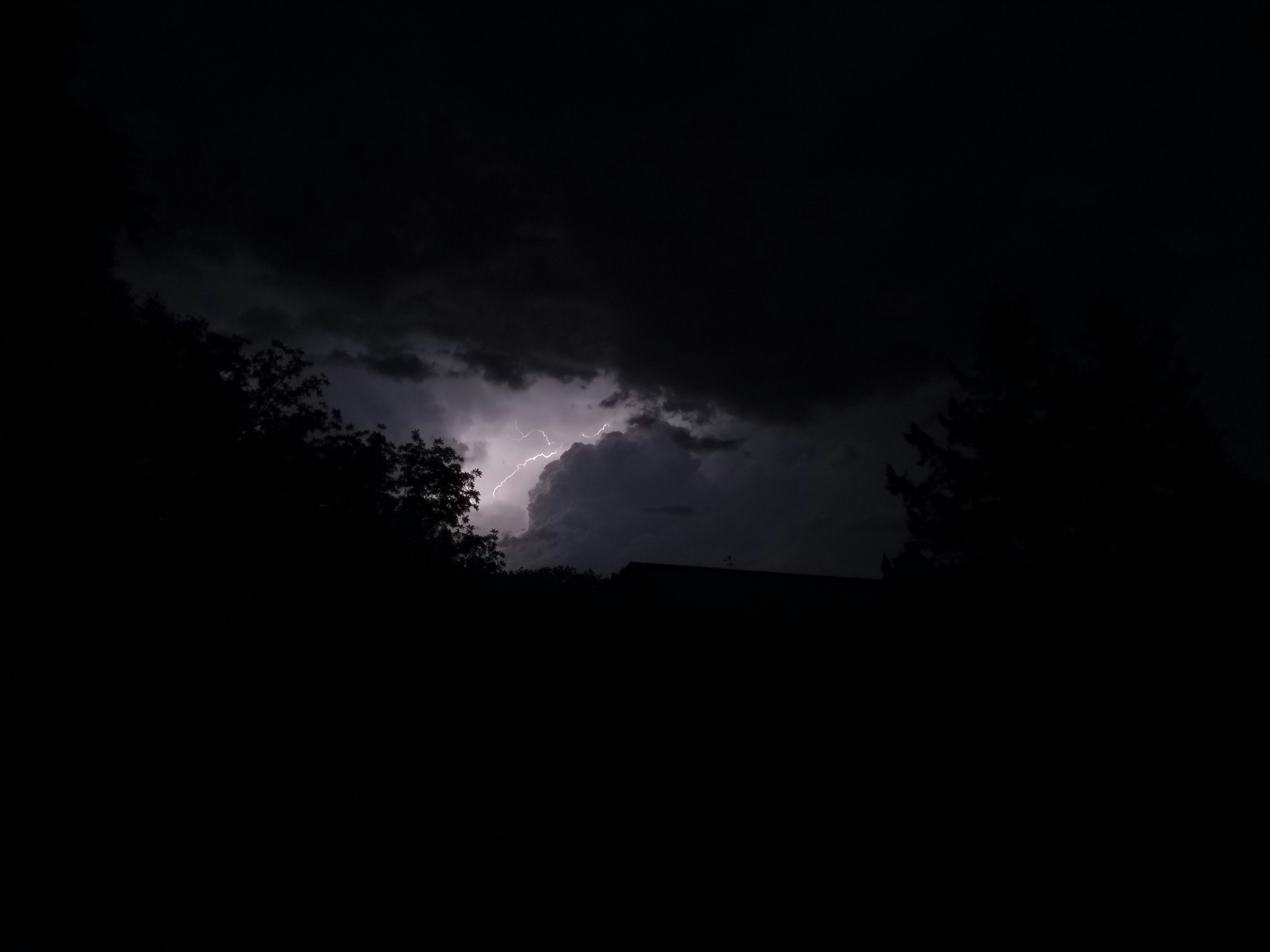 Lightning illuminates a dark sky, highlighting the silhouette of trees.