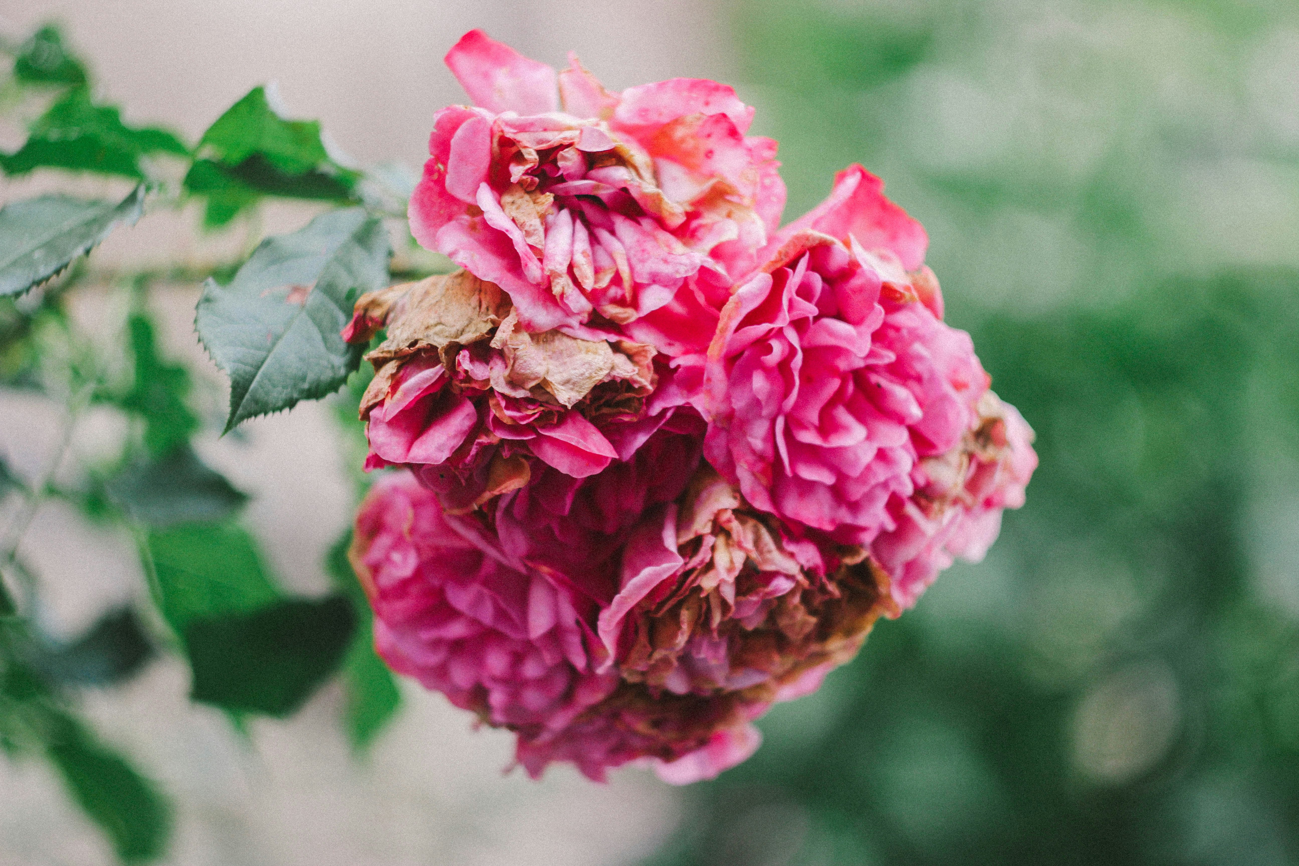 John-Mark Smith (@mrrrk_smith) | Unsplash Photo Community