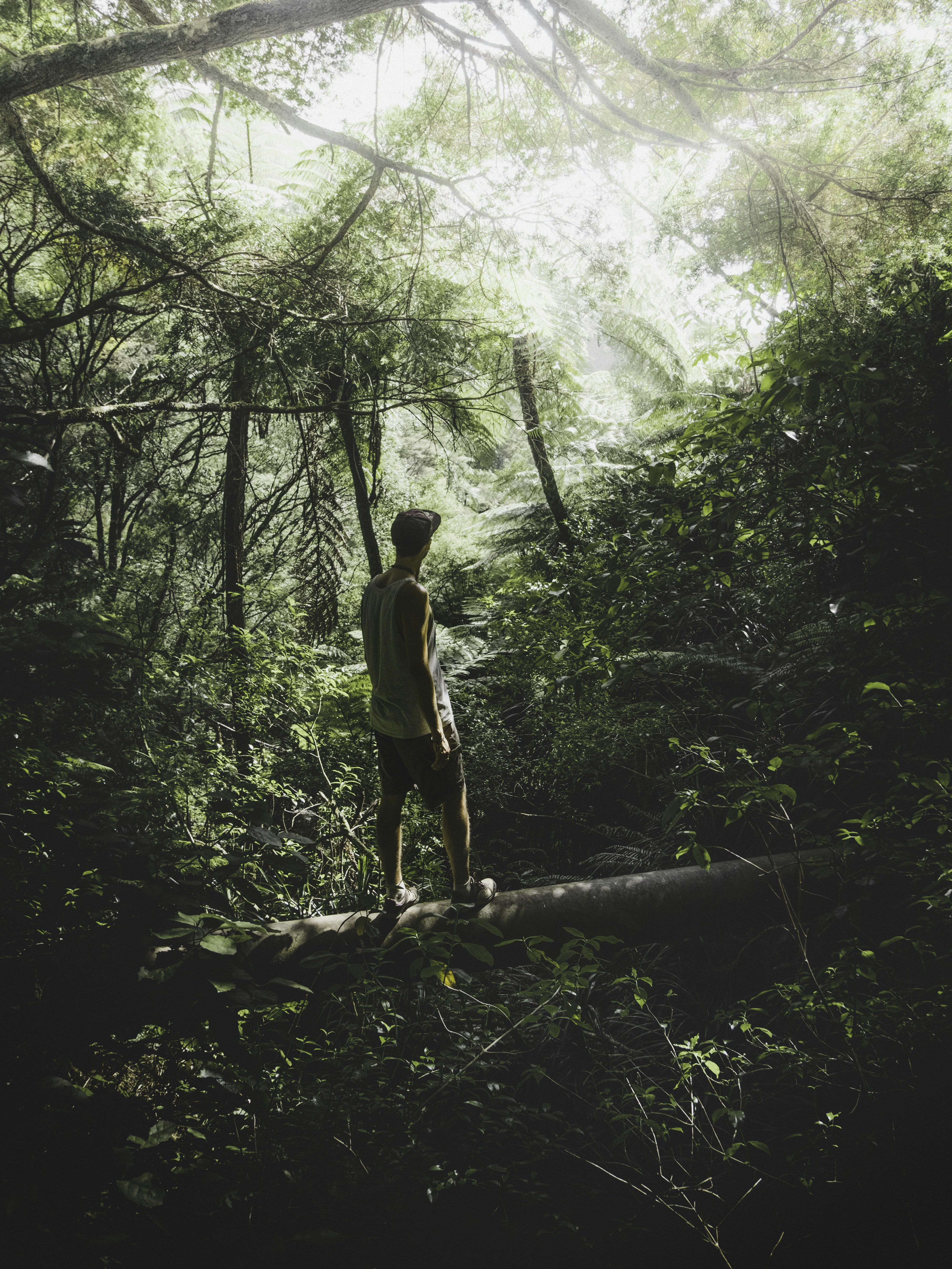Man standing on forest photo – Free Dickey flat campsite Image on Unsplash