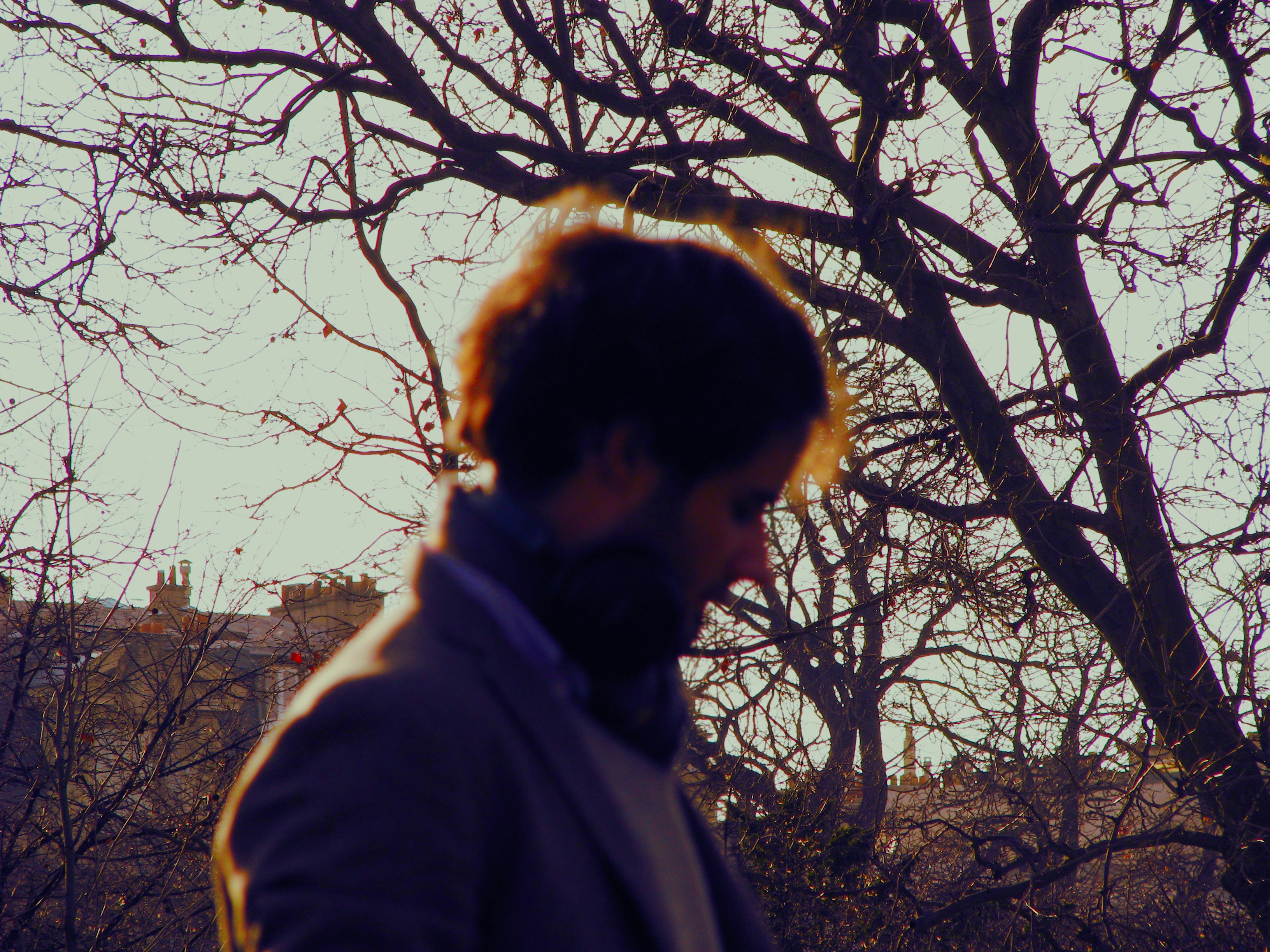 Backlit profile of a person wearing a purple coat, with bare branches and a distant cityscape at dusk.