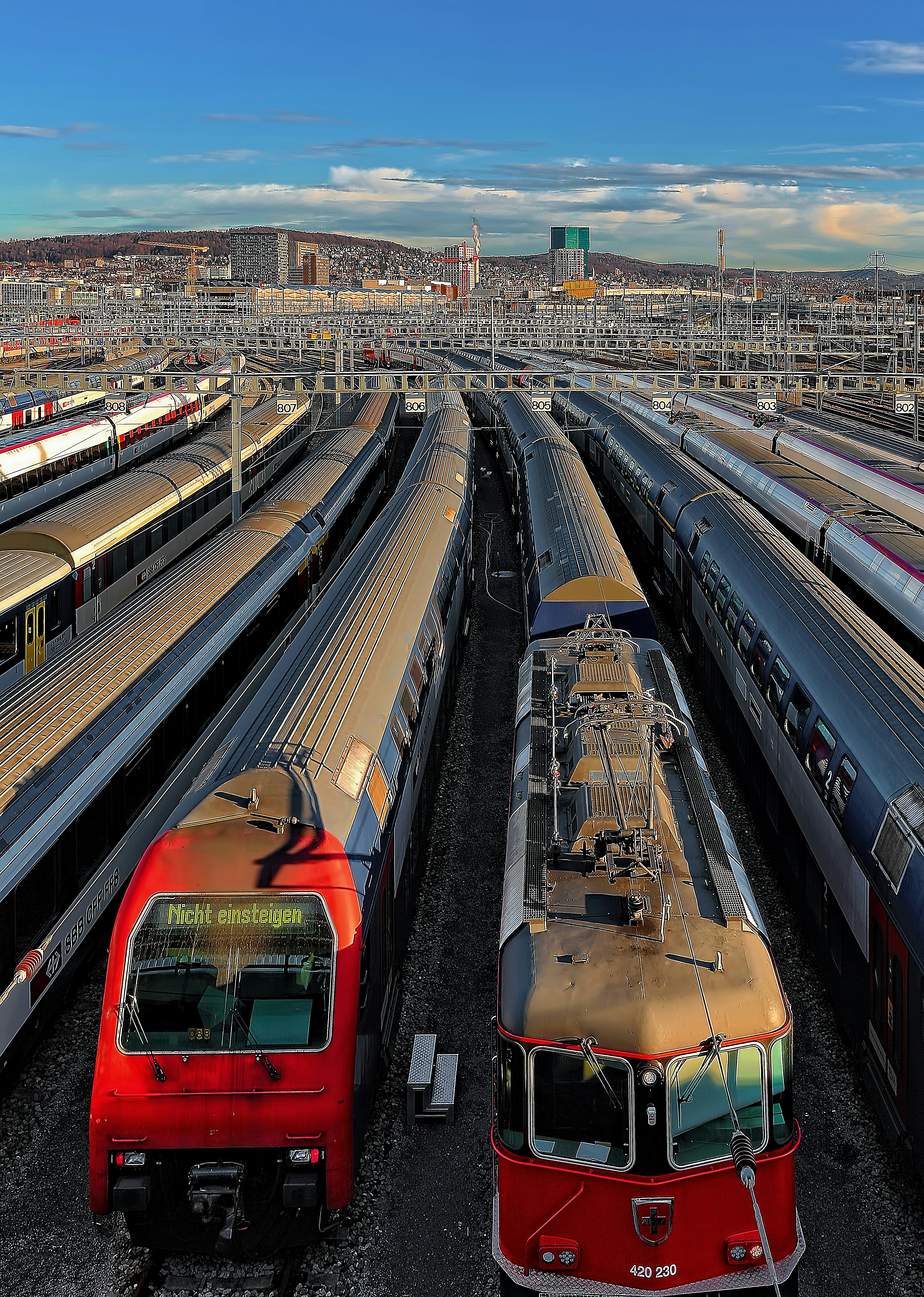 Symphony of Rails: Urban Train Nexus