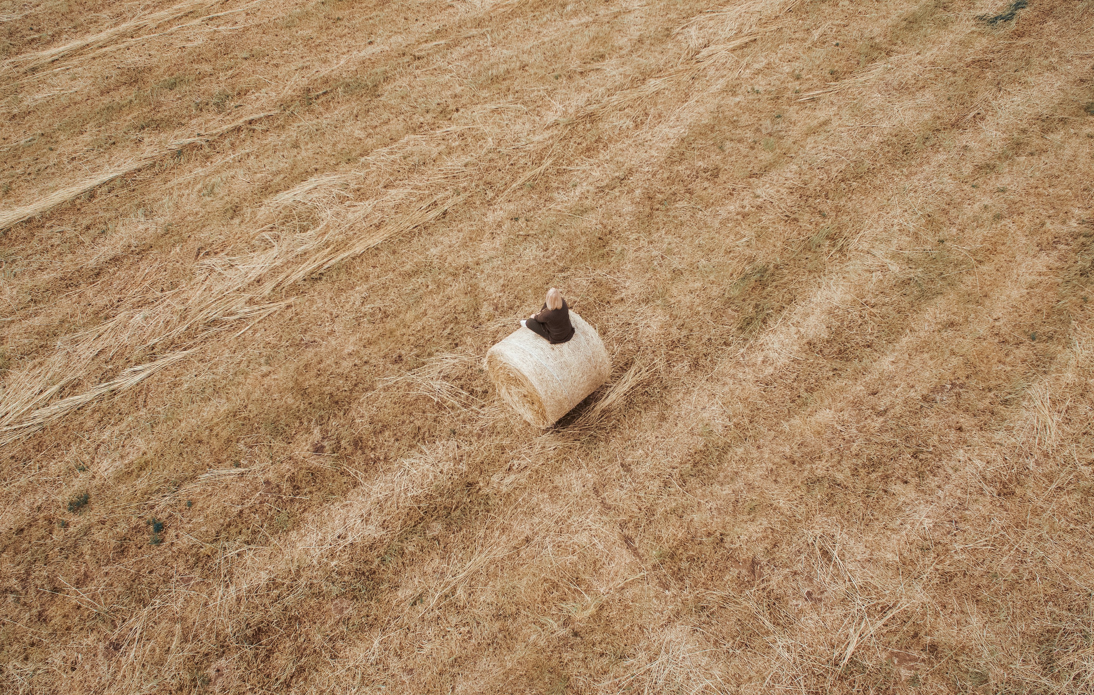 Bail Pictures | Download Free Images on Unsplash